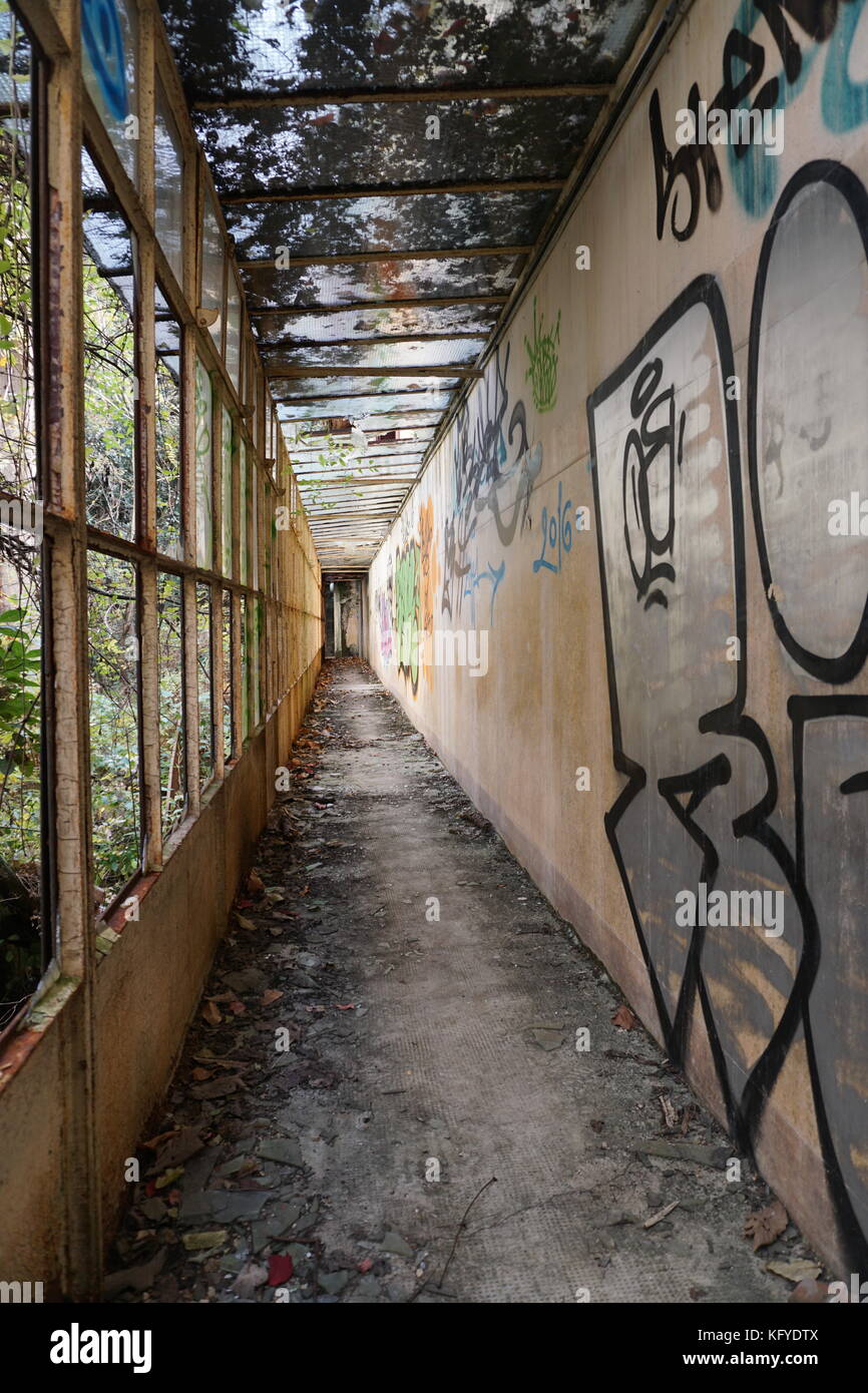 Here I took a picture in an abandoned building and you can see a long ...
