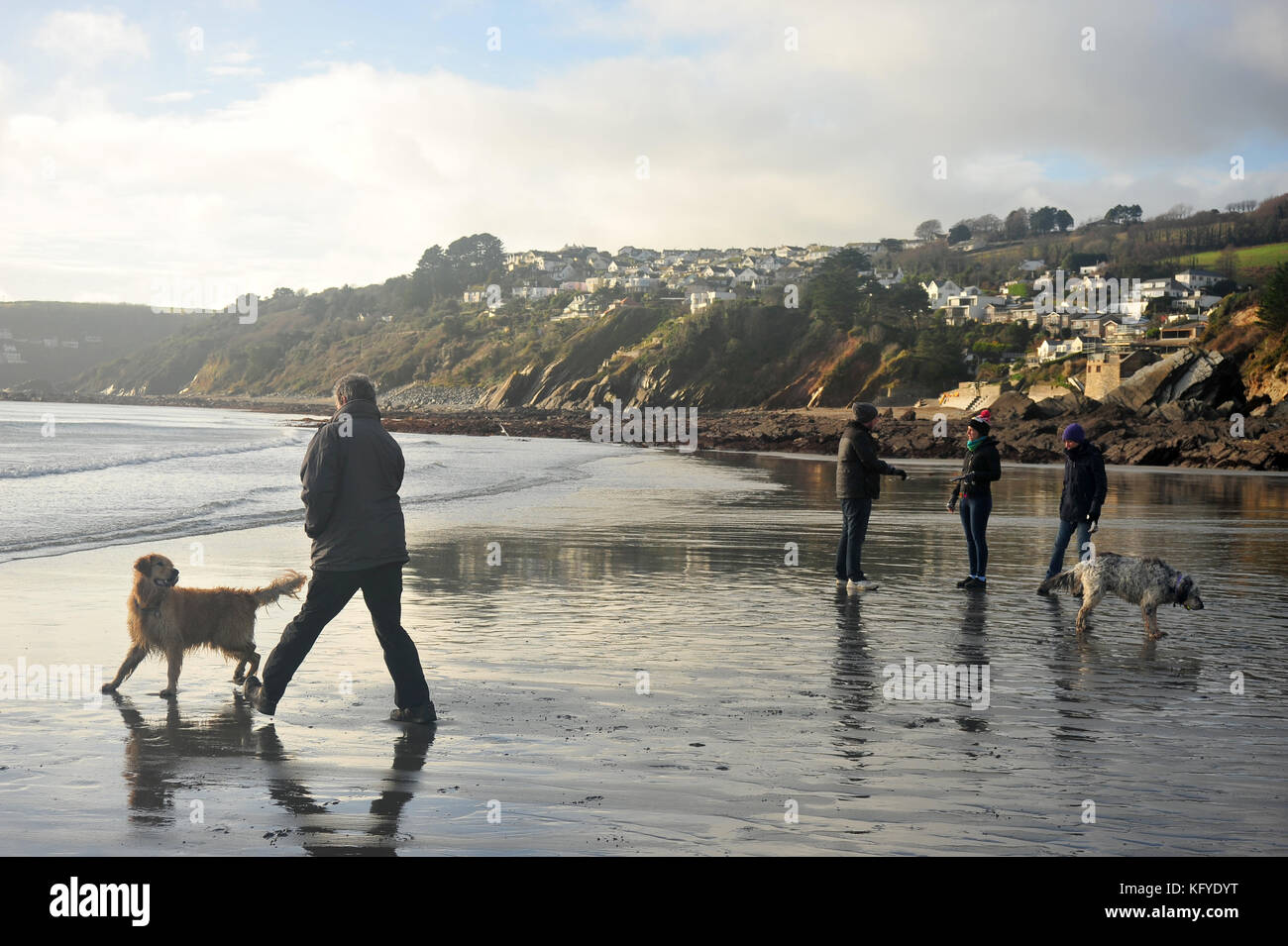 Cornwall dogs beach hi-res stock photography and images - Alamy