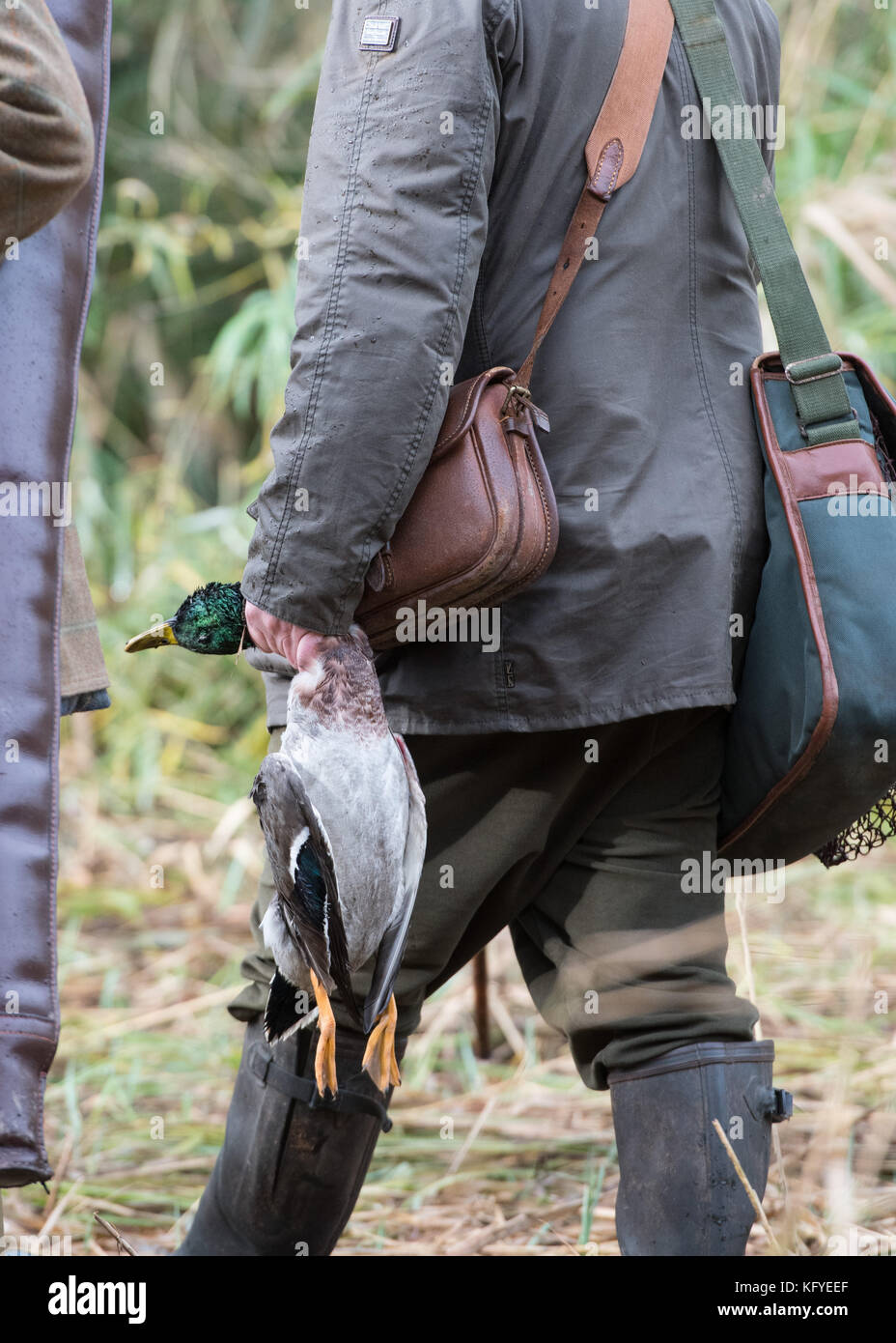 Man caries duck after country shoot Stock Photo - Alamy