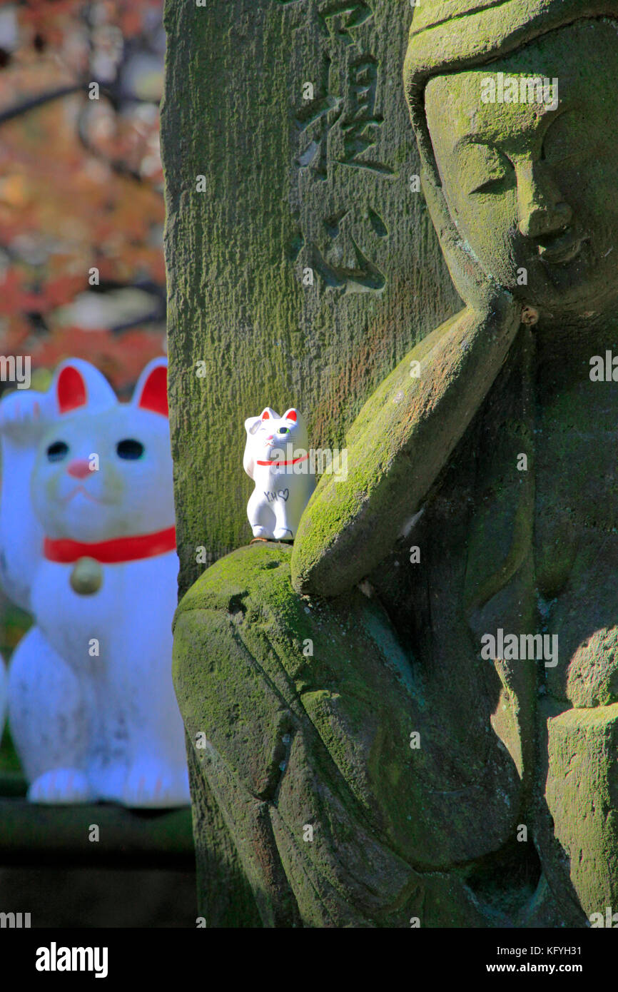 Maneki-Neko Beckoning Cat at Gotokuji Temple in Tokyo Japan Stock Photo - Alamy
