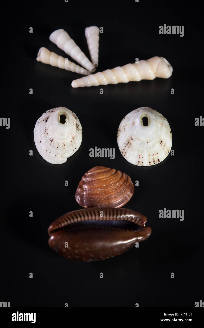 sea shells arranged so that they create a face emanating emotion Stock ...