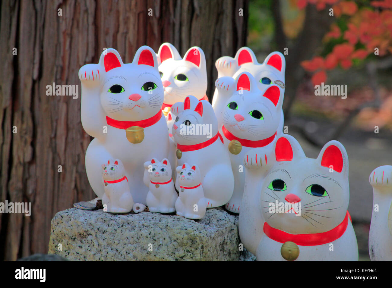 Maneki-Neko Beckoning Cat at Gotokuji Temple in Tokyo Japan Stock Photo ...