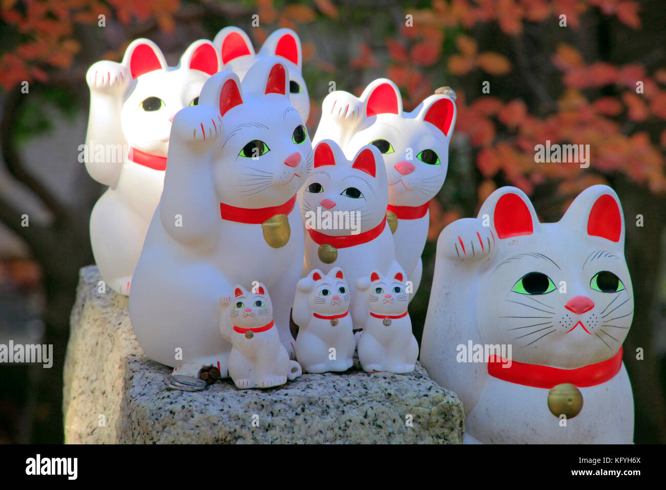 Maneki-Neko Beckoning Cat at Gotokuji Temple in Tokyo Japan Stock Photo ...