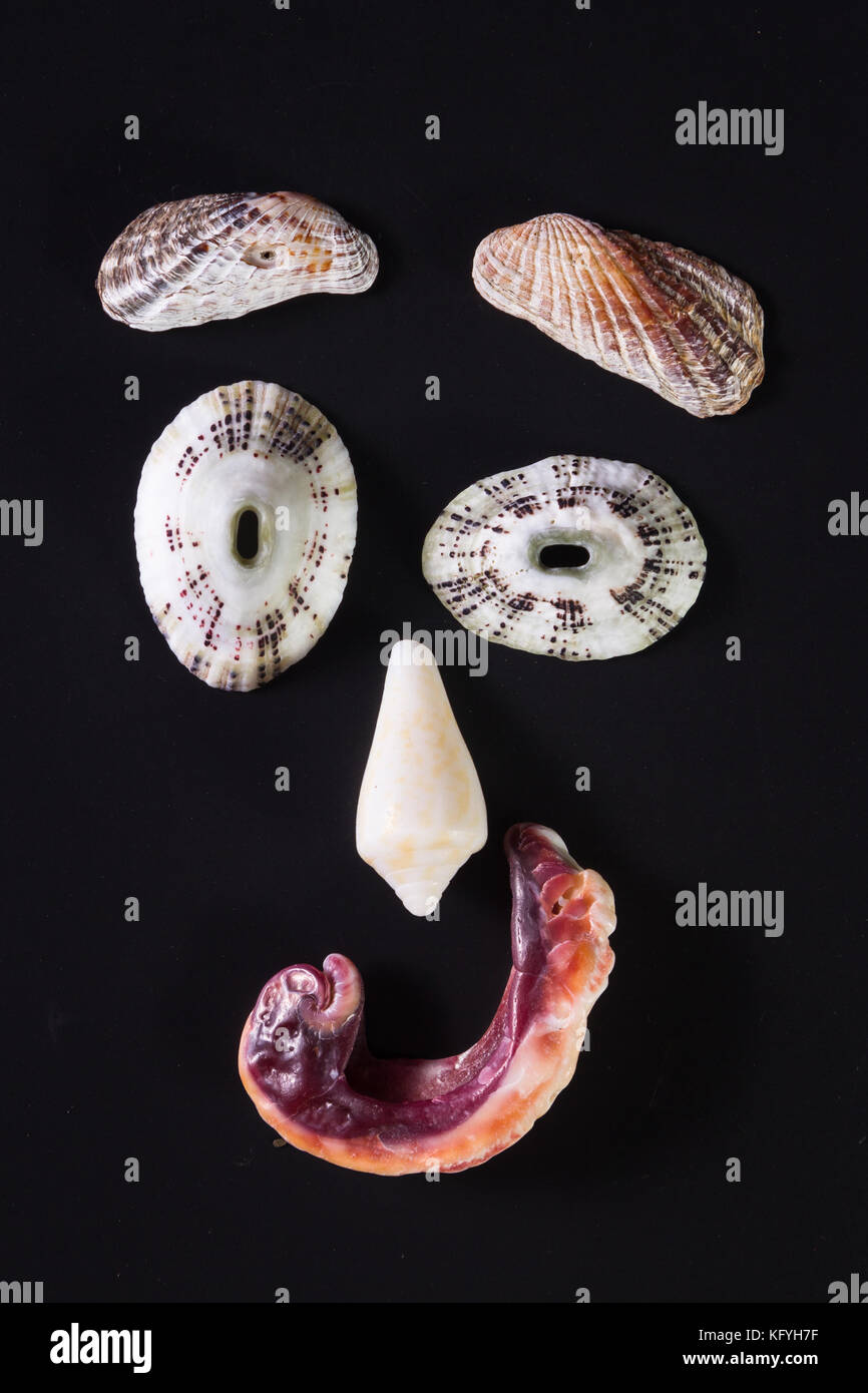 sea shells arranged so that they create a face emanating emotion Stock ...