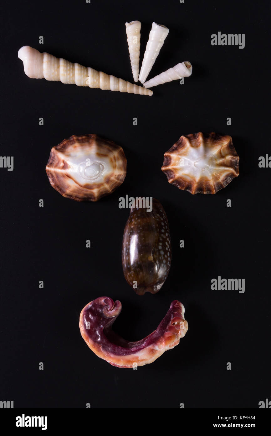 sea shells arranged so that they create a face emanating emotion Stock ...