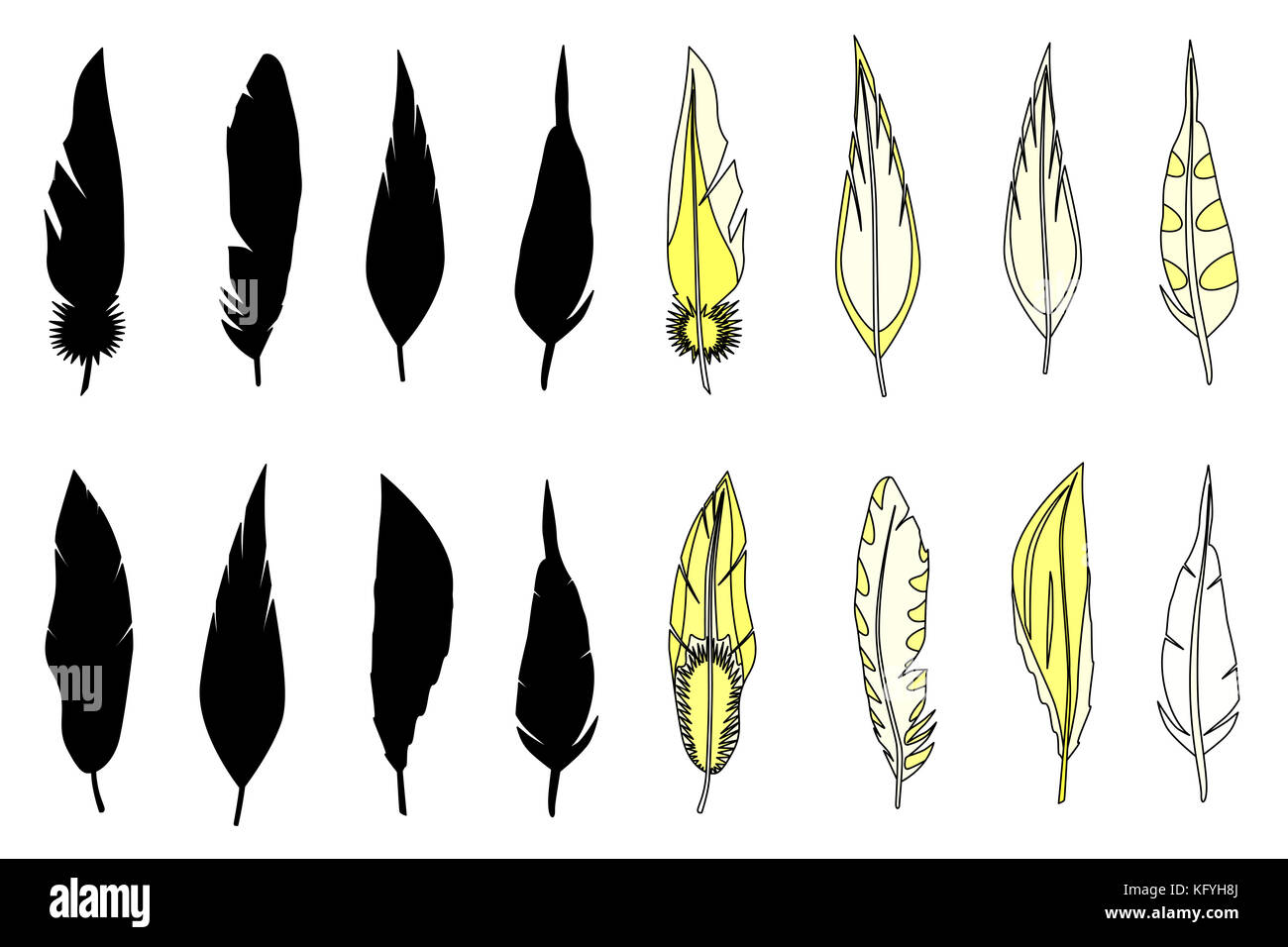 Feather set. Illustration isolated over white background Stock Photo ...