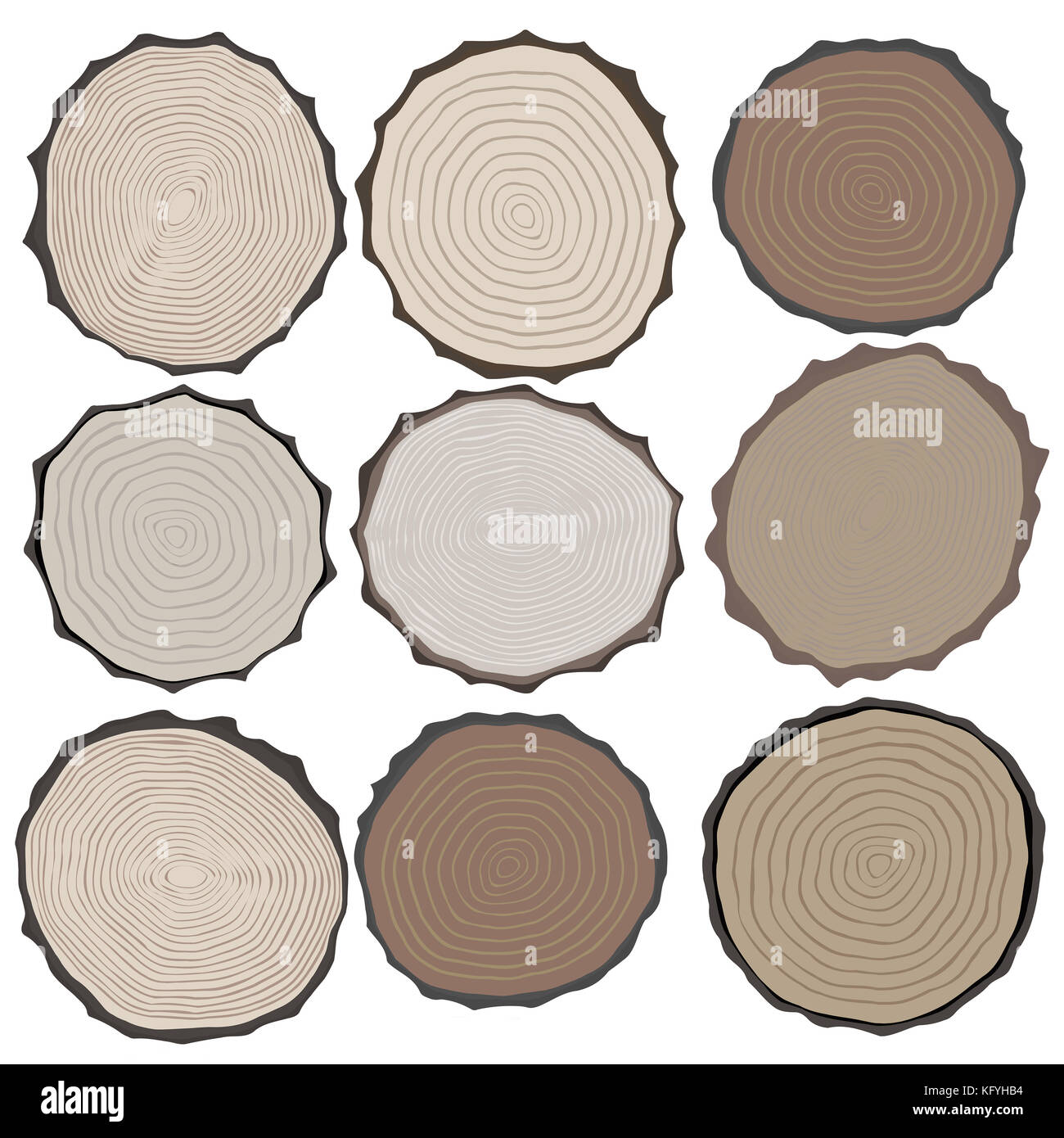 Set of Wood texture and elements isolated. Illustration Stock Photo - Alamy