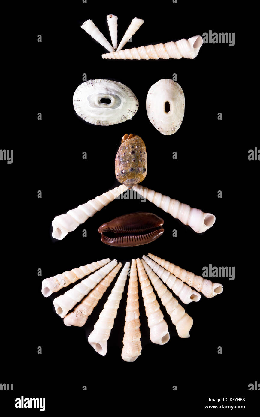 sea shells arranged so that they create a face emanating emotion Stock ...