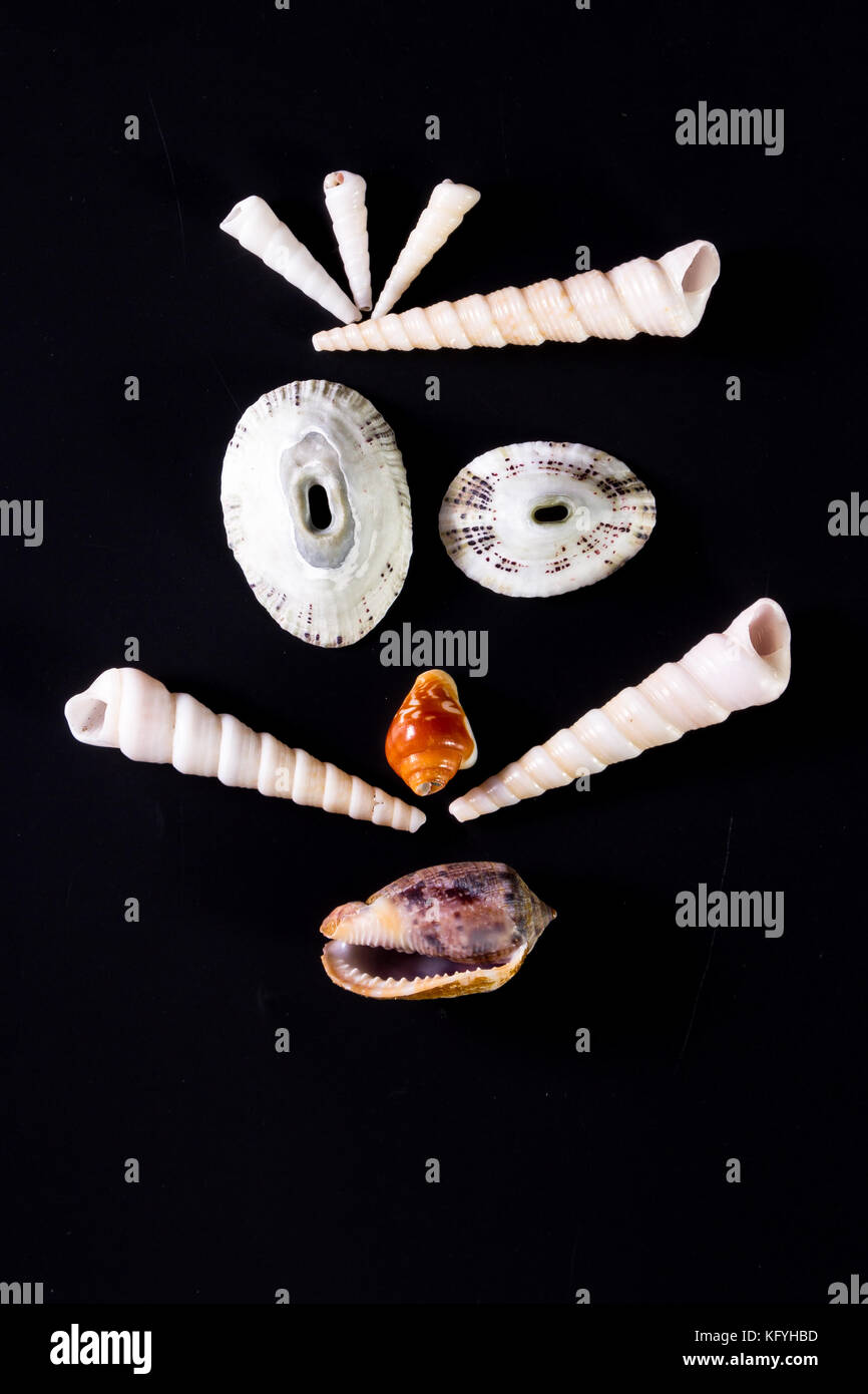 sea shells arranged so that they create a face emanating emotion Stock ...