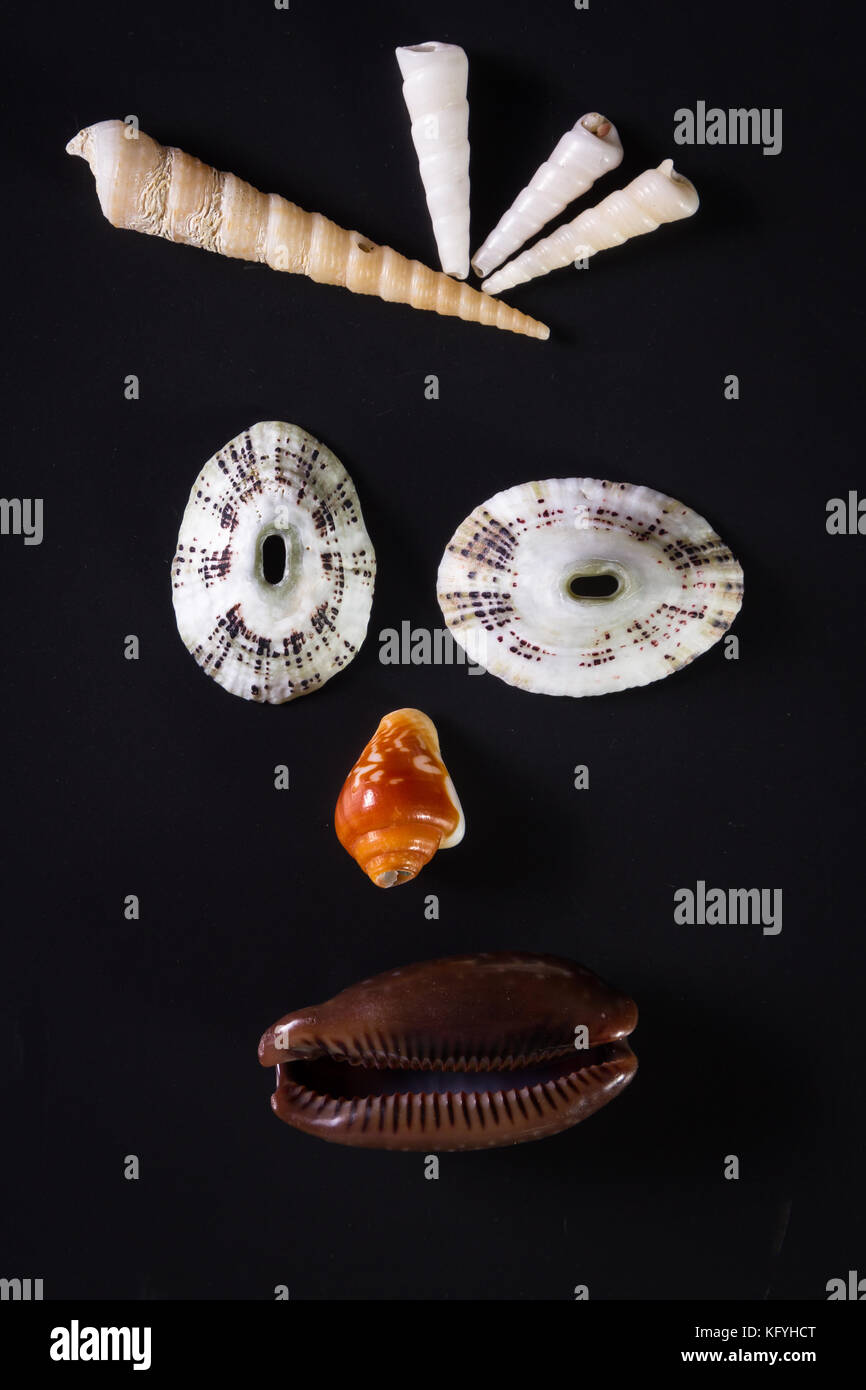 Seashells guide hi-res stock photography and images - Alamy