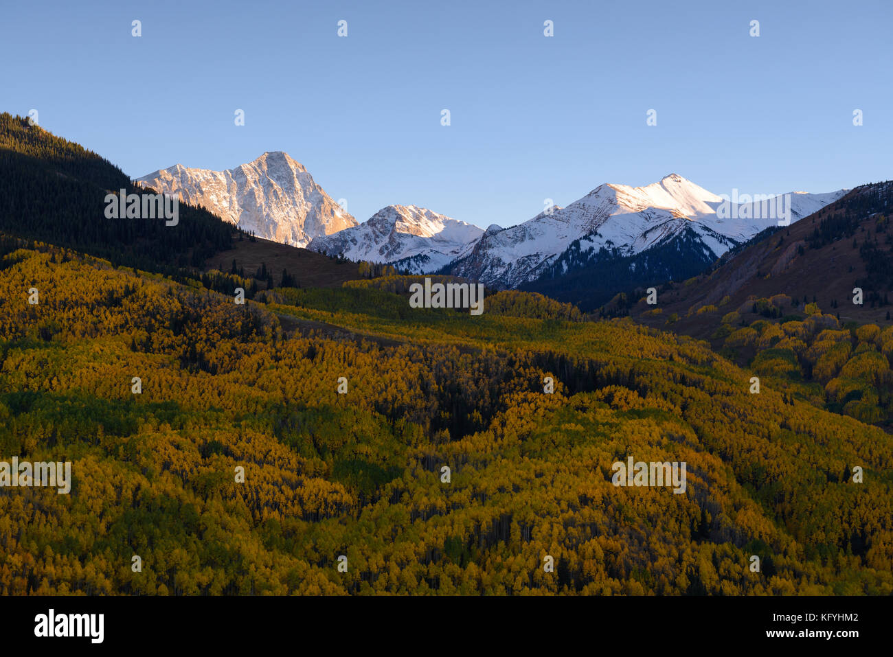 Fall foliage color Capital Peaks, snowmass village, Colorado. Aspen ...