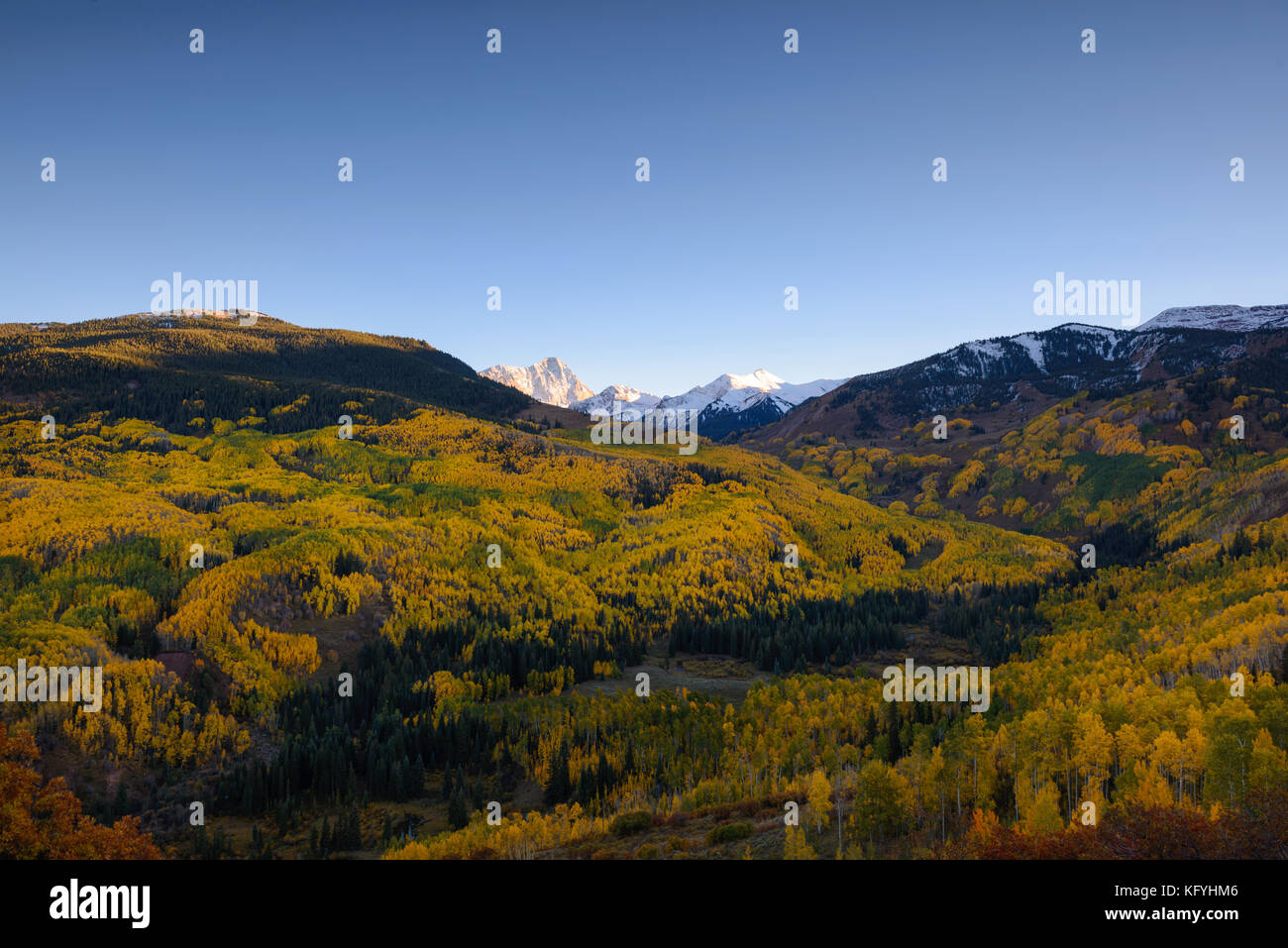 Fall foliage color Capital Peaks, snowmass village, Colorado. Aspen ...