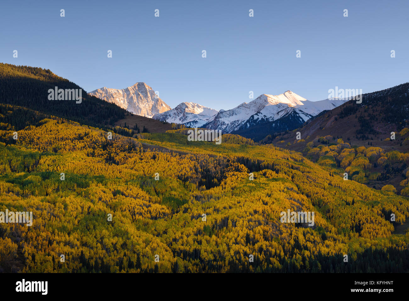 Fall foliage color Capital Peaks, snowmass village, Colorado. Aspen ...