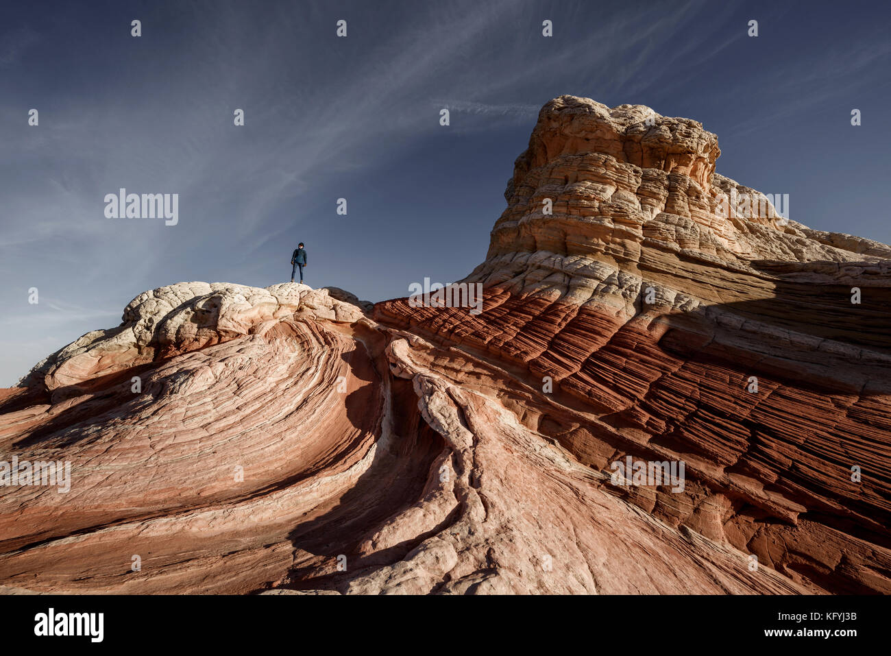 The back of dragon. Rock formation in White Pocket, Arizona, USA ...