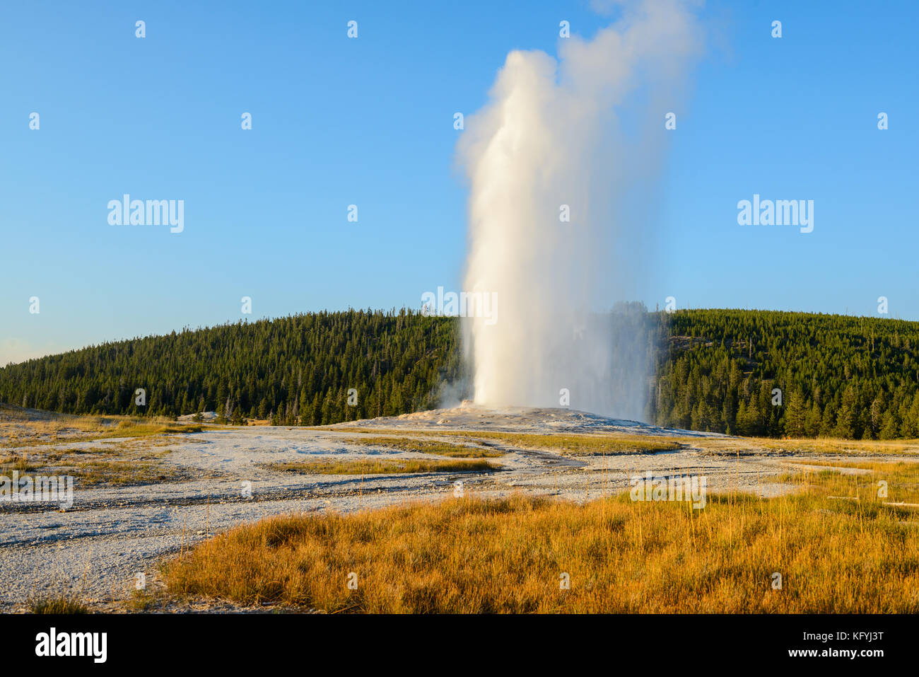 Hot spring explosion. Old Faithful Geyser, Yellowstone National Park ...