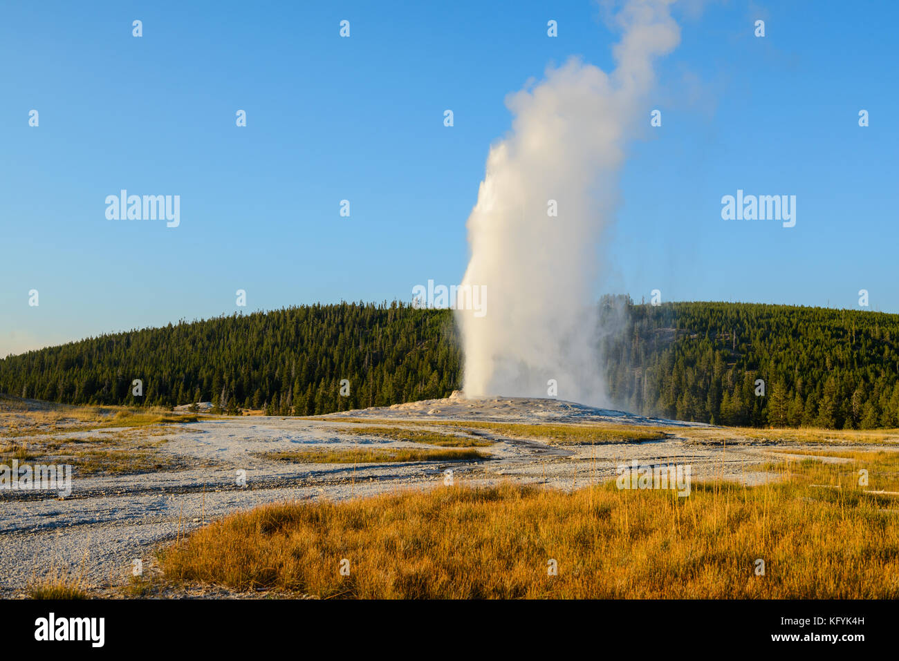 Hot spring explosion. Old Faithful Geyser, Yellowstone National Park ...