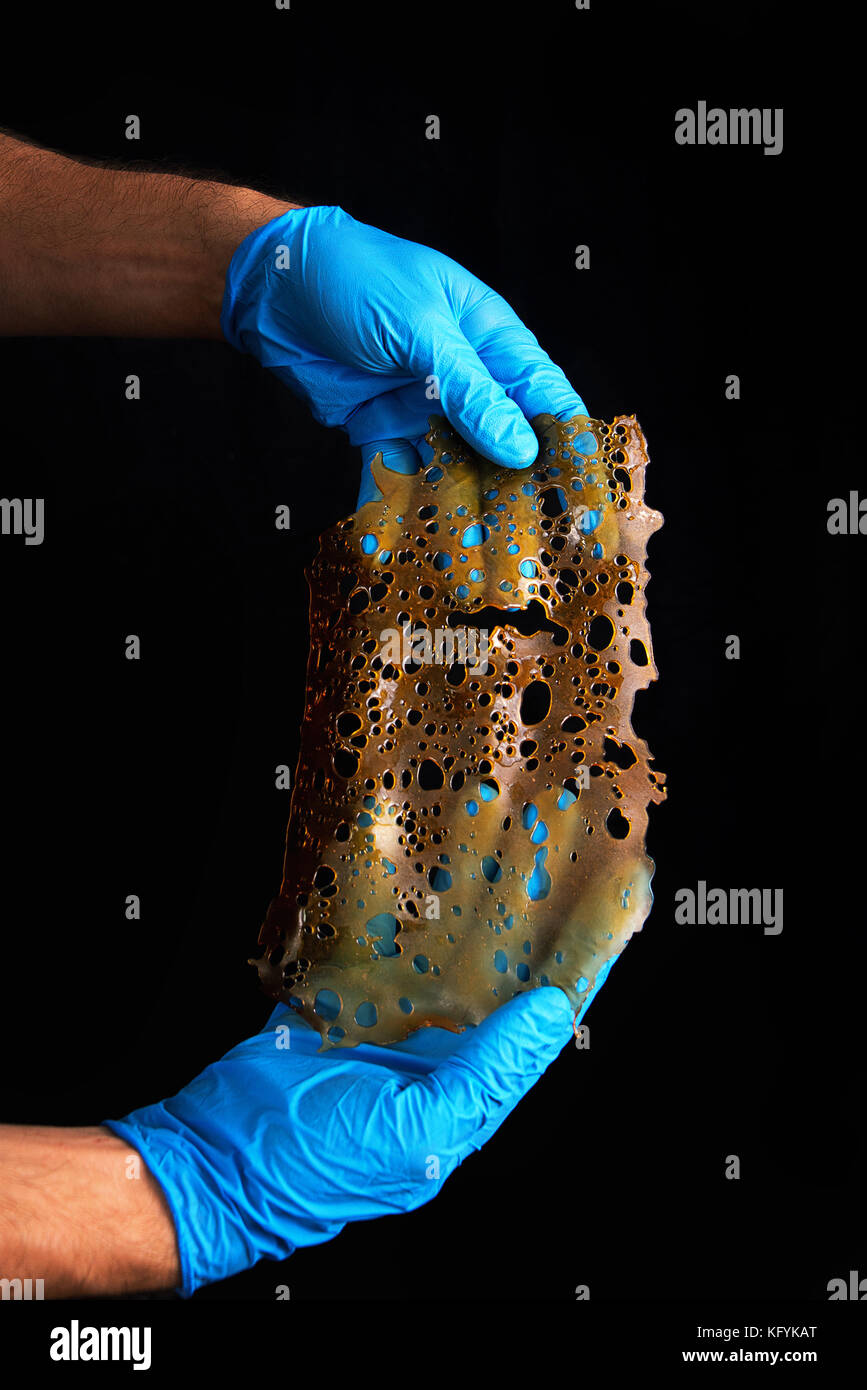 Detail of hand holding a slab of concentrated cannabis oil extraction ...