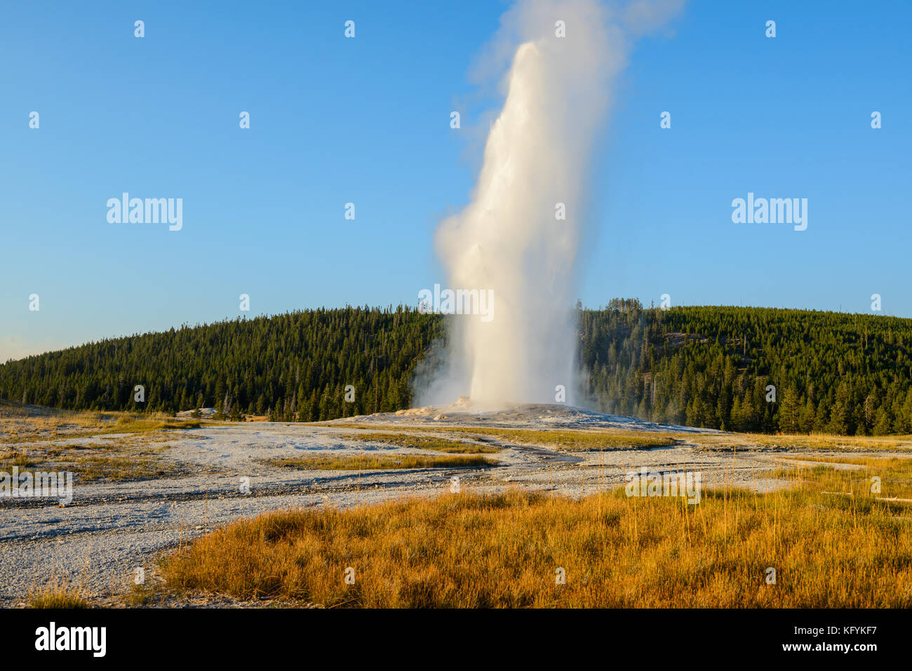 Hot spring explosion. Old Faithful Geyser, Yellowstone National Park ...