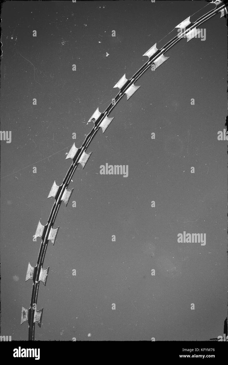 in australia a razor wire in the clear sky like concept of war and ...