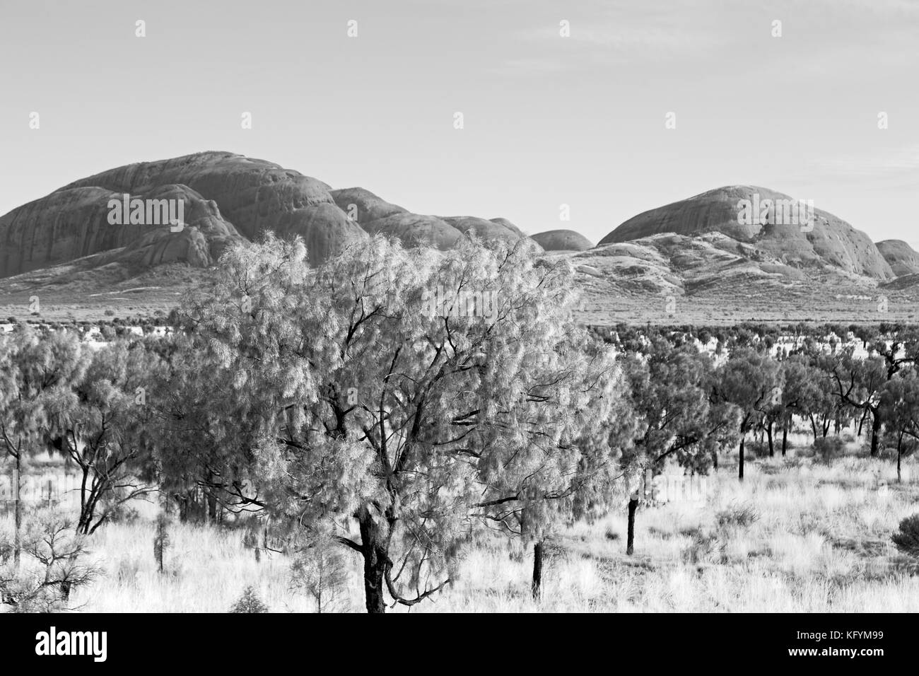 in australia the concept of wilderness environment in the landscape ...