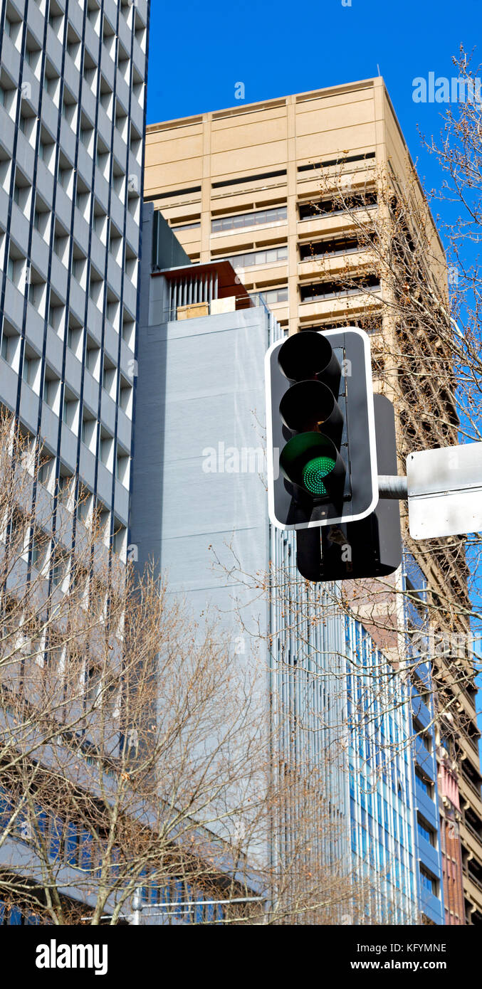 in australia sydney the traffic light and background of the city Stock ...