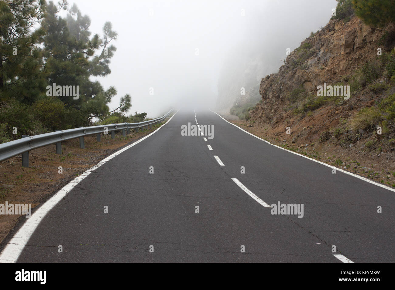 Asphalt way in forest. Road curve Stock Photo - Alamy