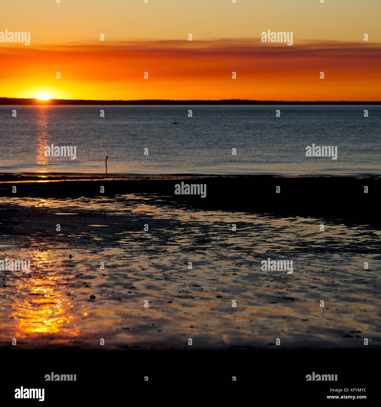 in australia the sunset in the ocean like concept of relax and holiday ...