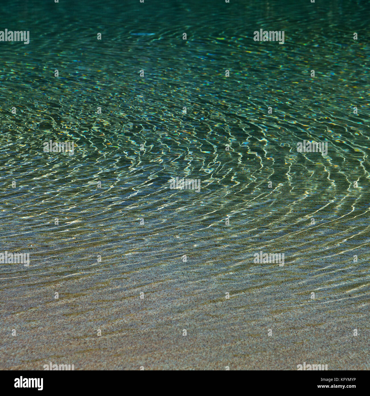 in australia the concept of relax in the clean water near coastline ...