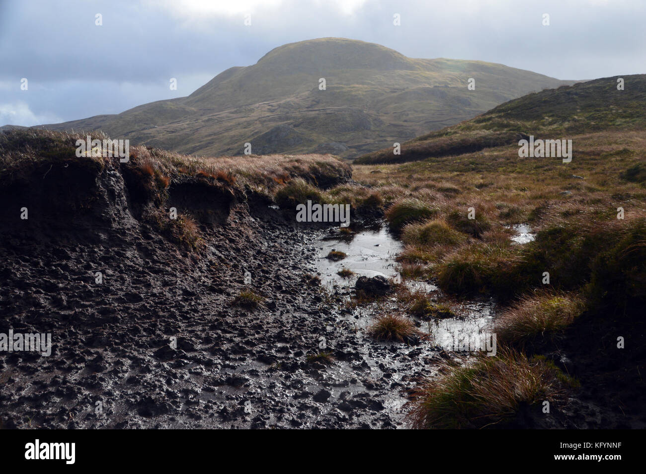 Moors and peat bogs hi-res stock photography and images - Alamy