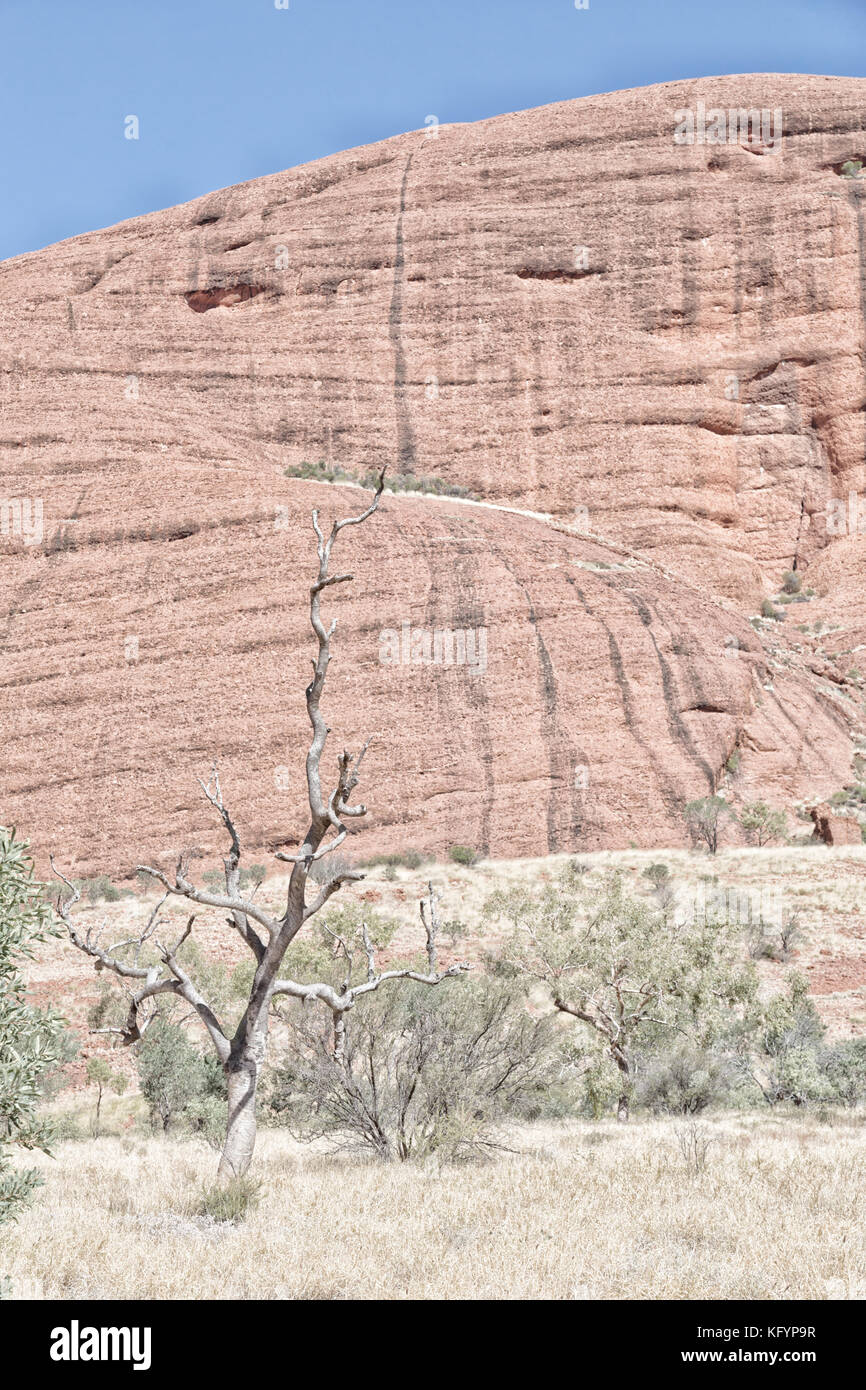 in australia the concept of wilderness environment in the landscape ...