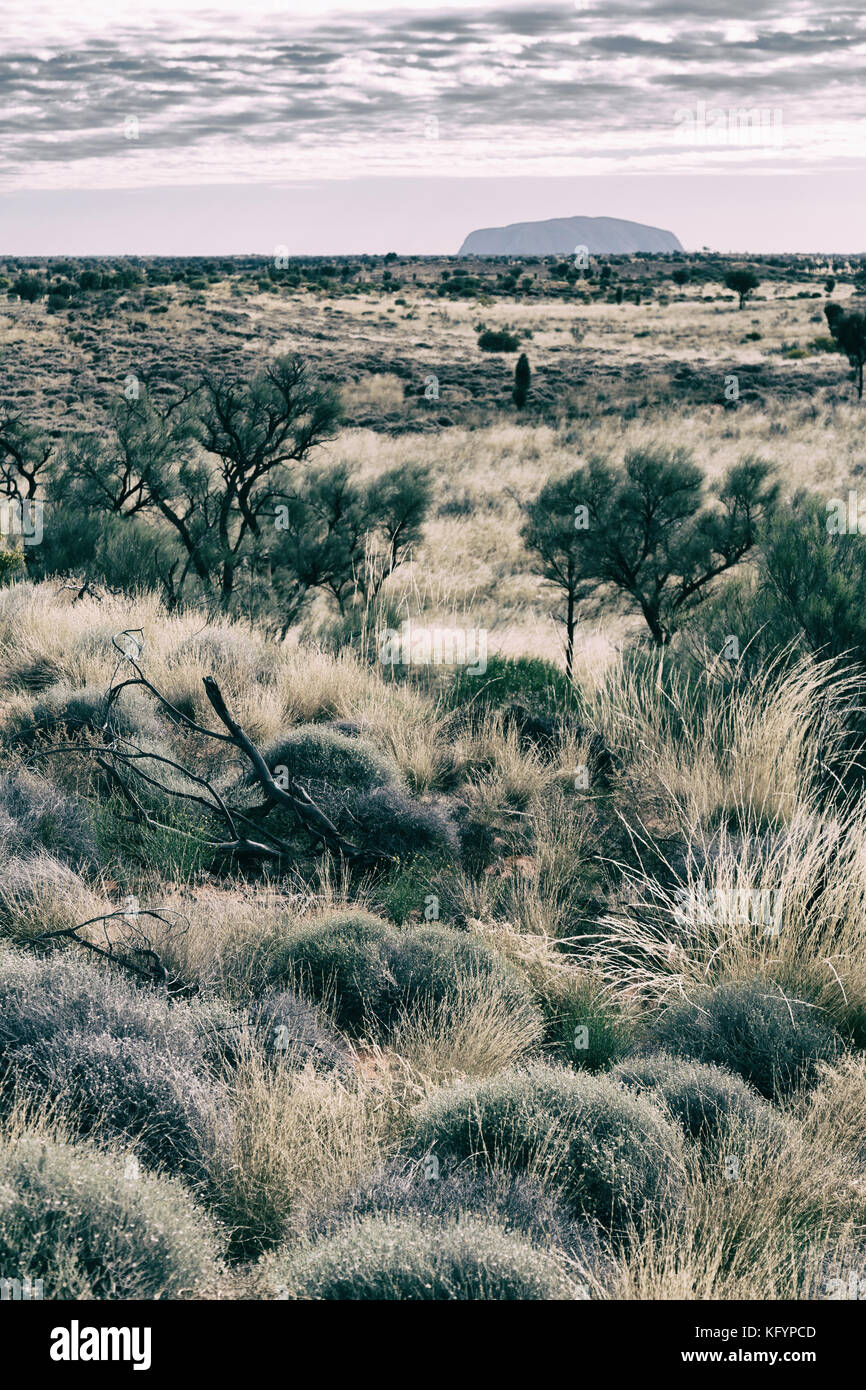 in australia the concept of wilderness environment in the landscape ...