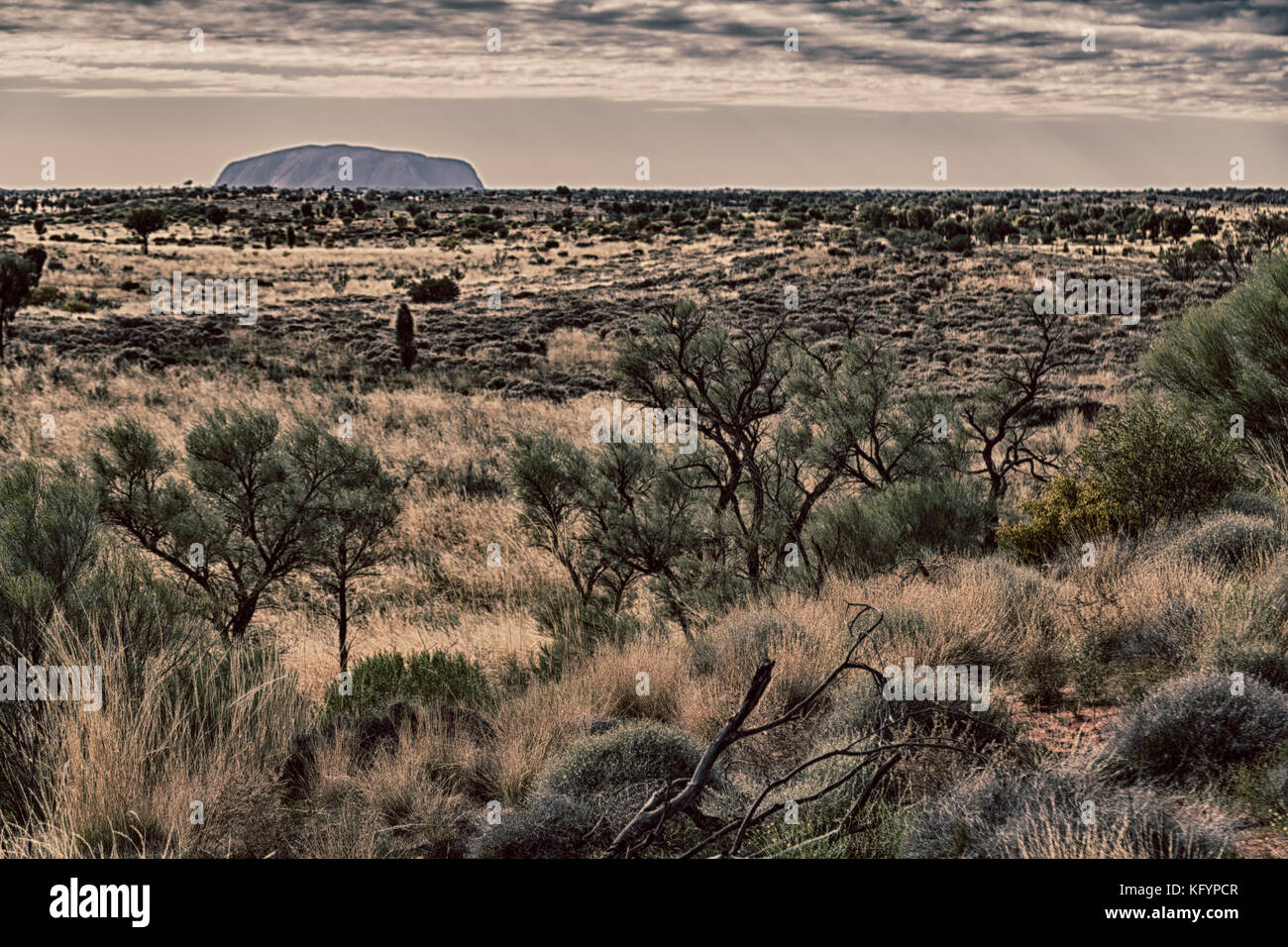 in australia the concept of wilderness environment in the landscape ...