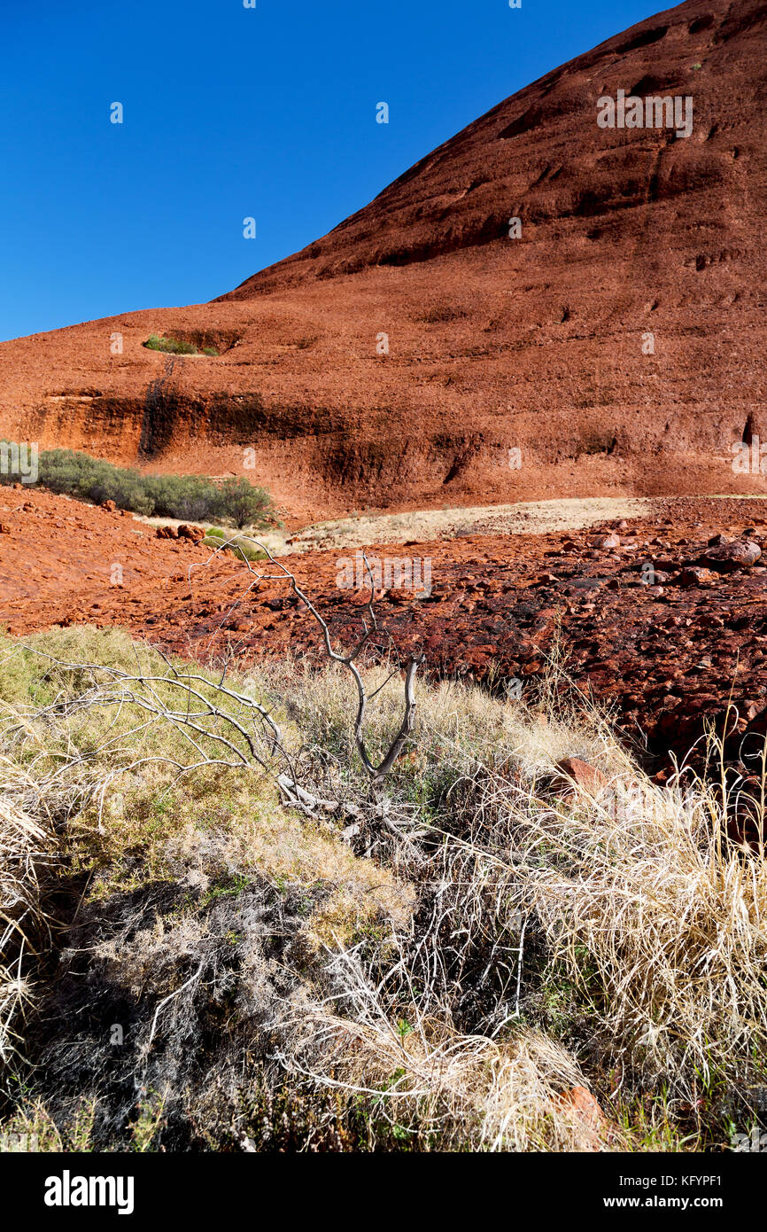 in australia the concept of wilderness environment in the landscape ...
