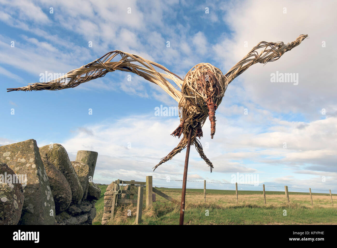 Sculpture of a flying tern made of metal and willow material on Holy ...