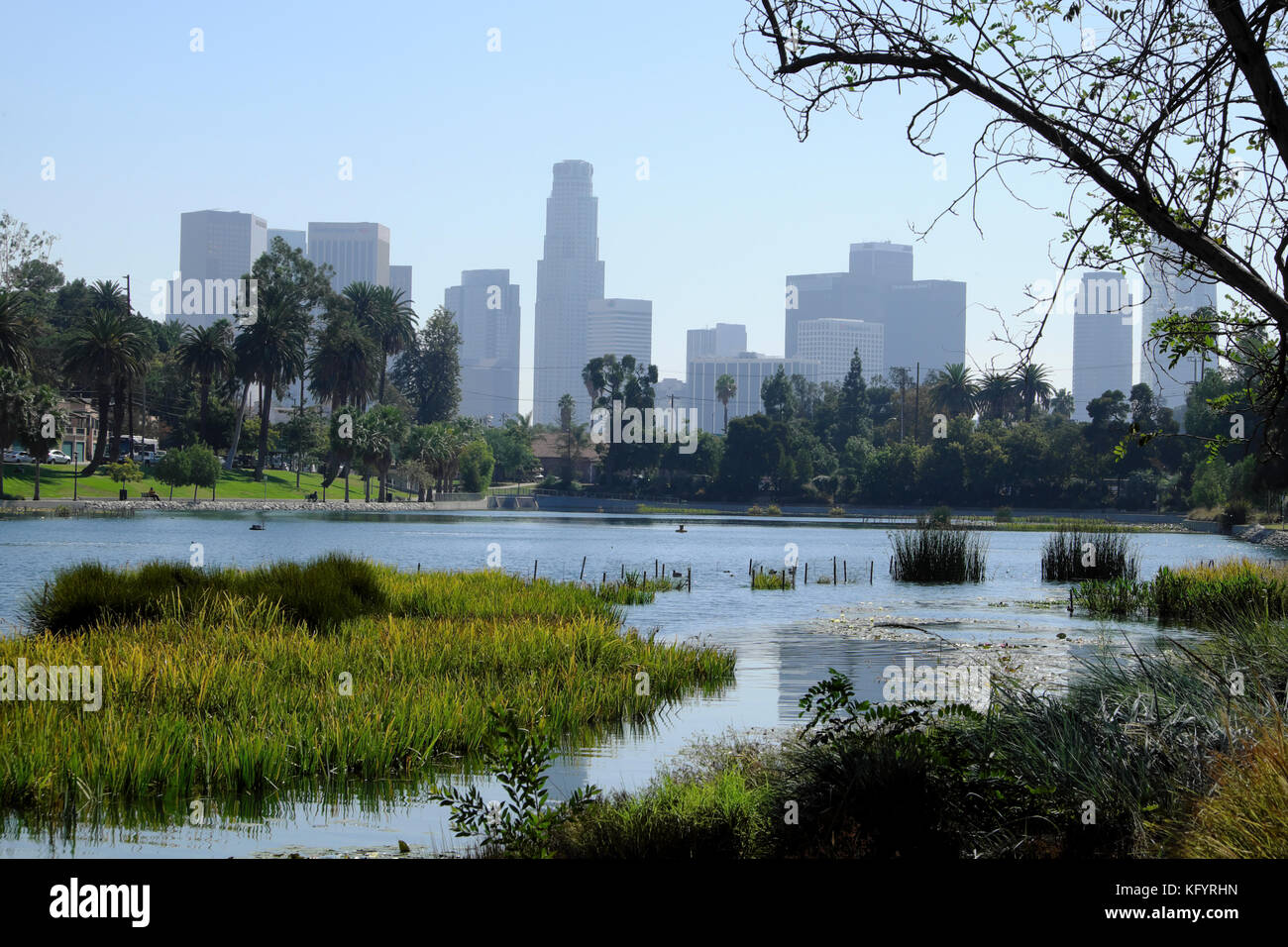 Autumn in los angeles hi-res stock photography and images - Alamy