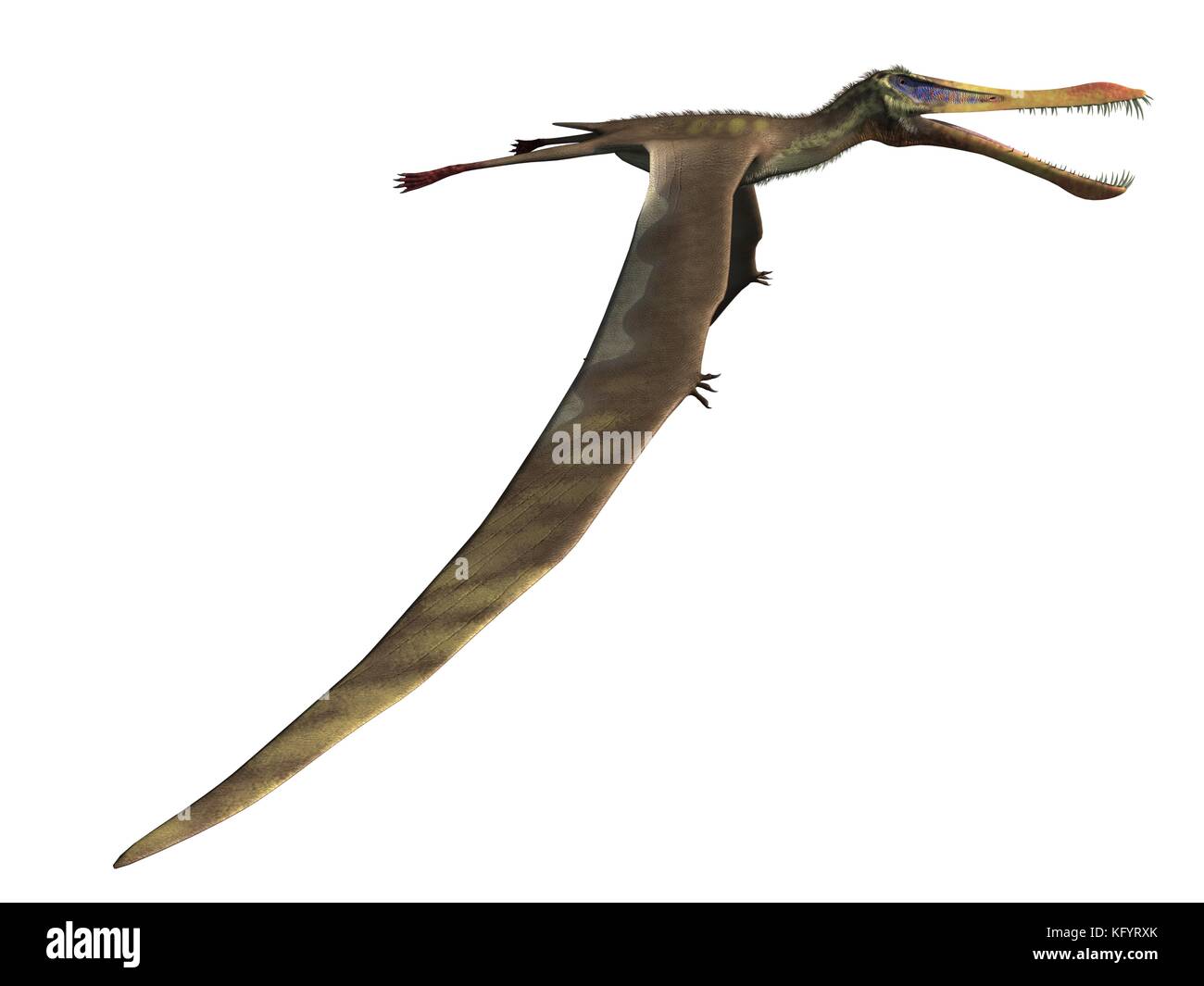 original pterosaur 3d render Stock Photo - Alamy