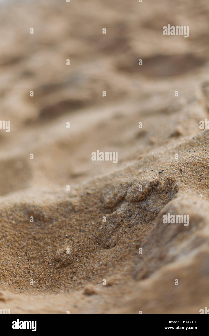 Close up sand grains beach hi-res stock photography and images - Alamy