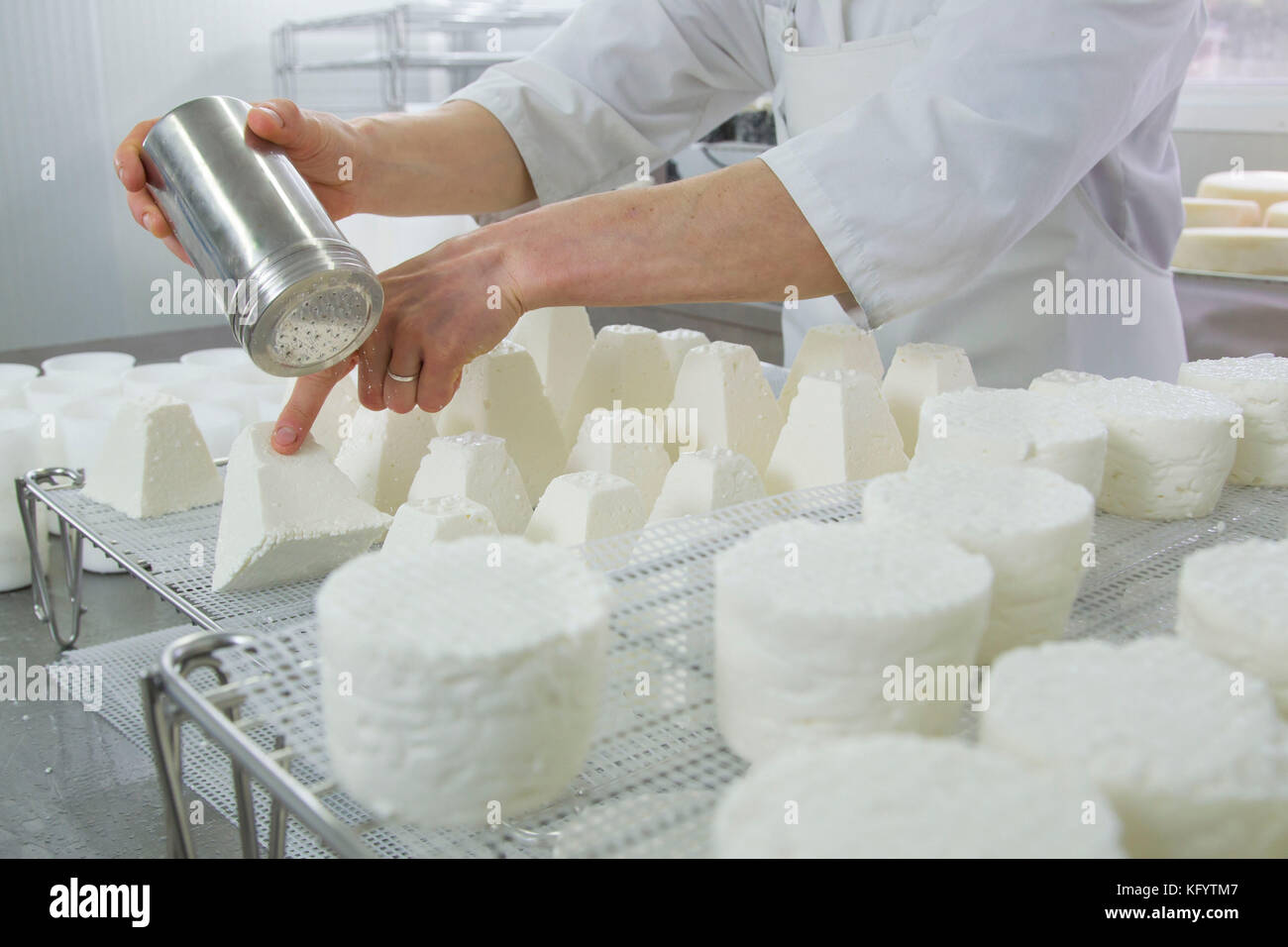 Goat's cheese making at the farm "La Ferme du Petit Quenneval" in ...