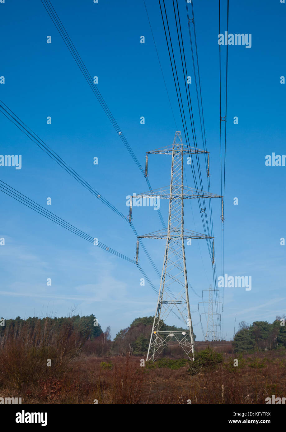 Sky through bush hi-res stock photography and images - Alamy