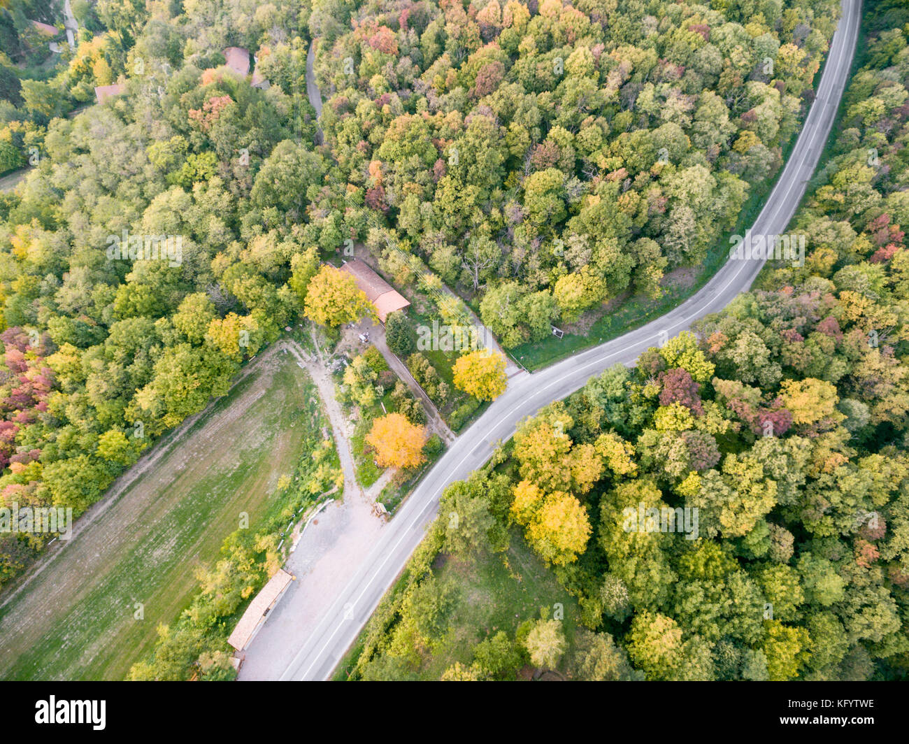 Road going through forest with autumn colours. Aerial photo Stock Photo ...