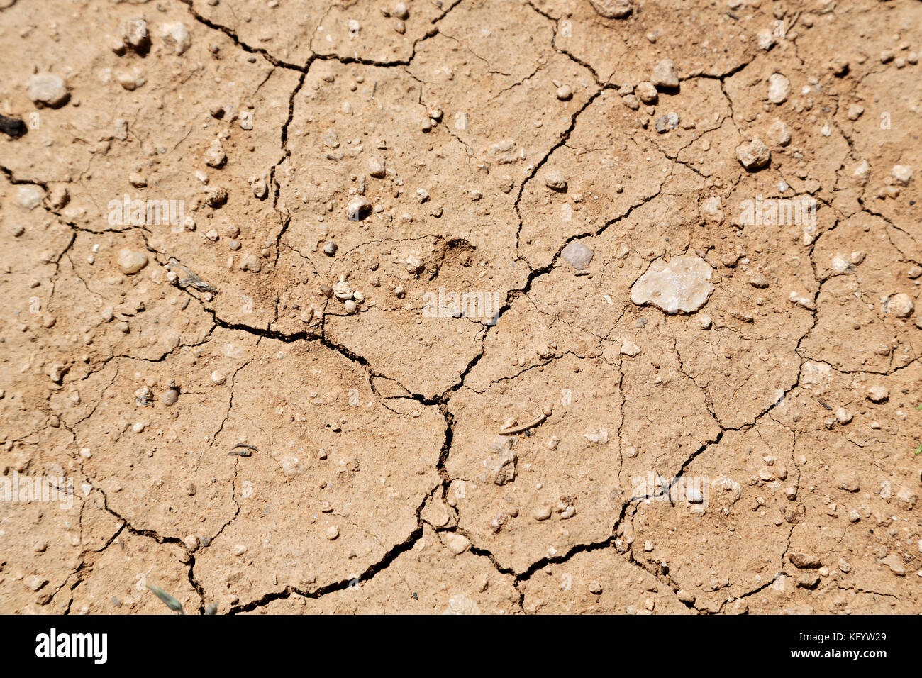 in the desert the dry ground like background texture Stock Photo - Alamy