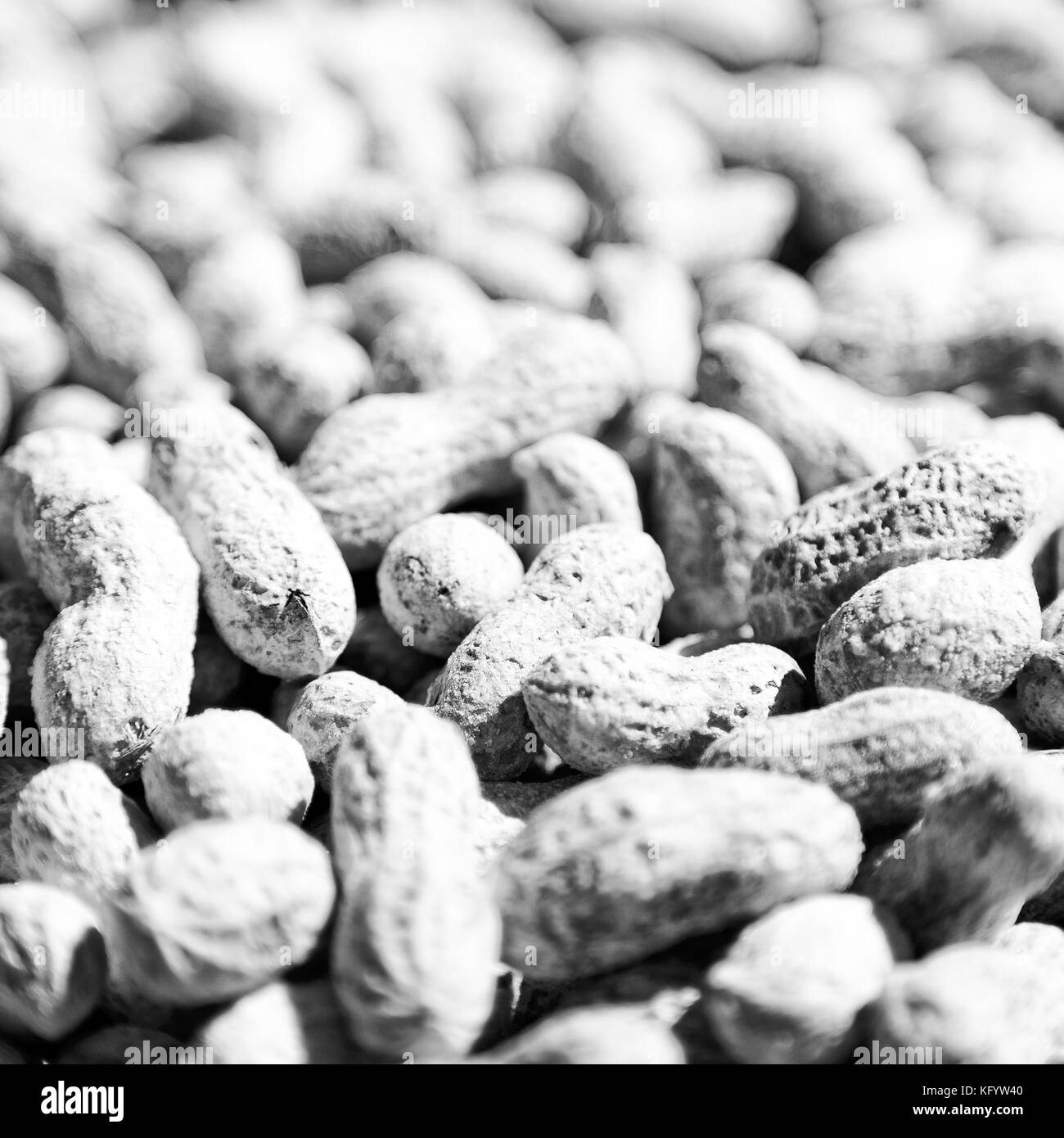 in the market lots of peanuts like concept of healthy food and snack ...