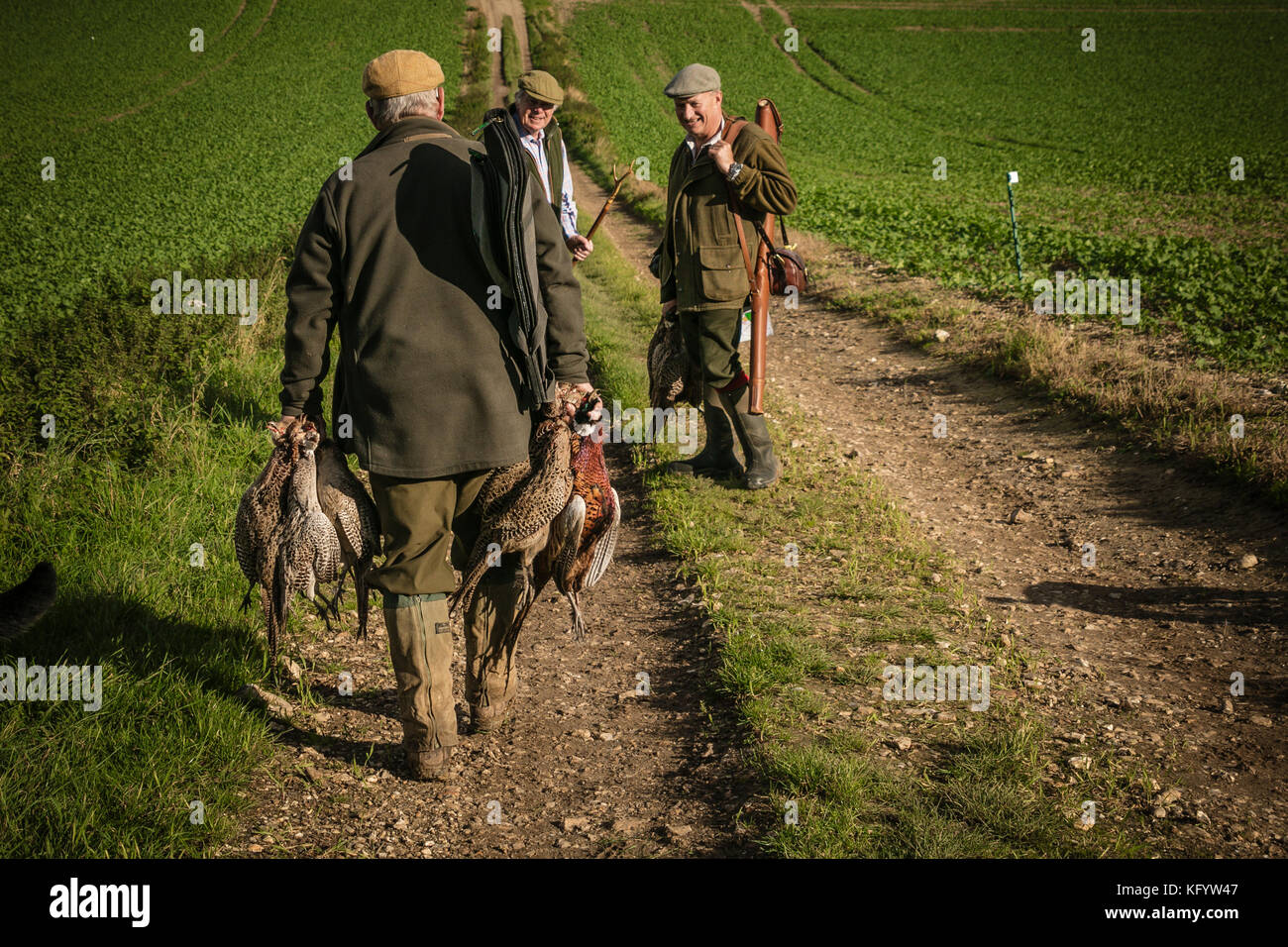 Driven shoot day hi-res stock photography and images - Alamy