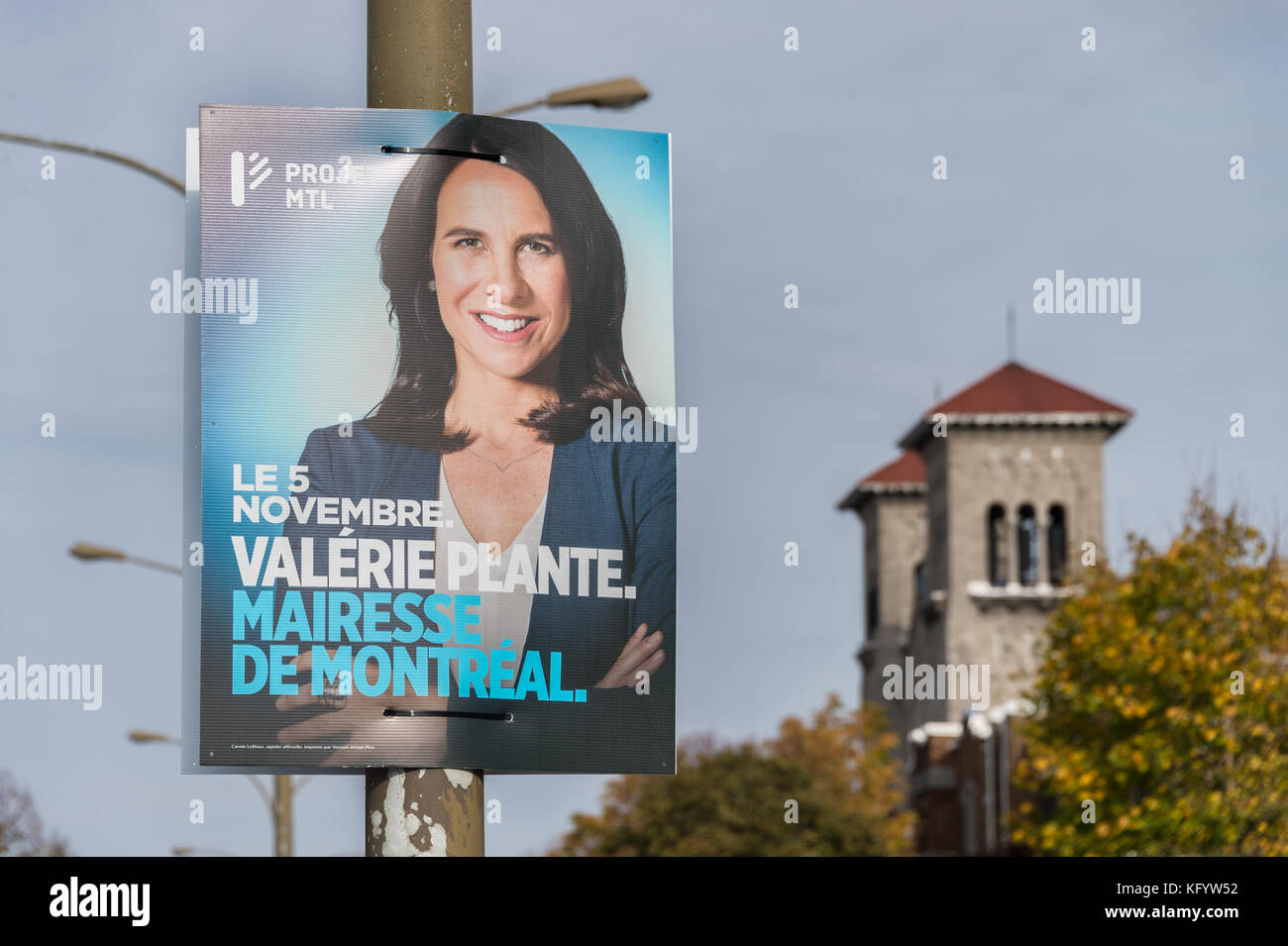 Valerie plante hi-res stock photography and images - Alamy Valerie plante hi-res stock photography and images - Alamy