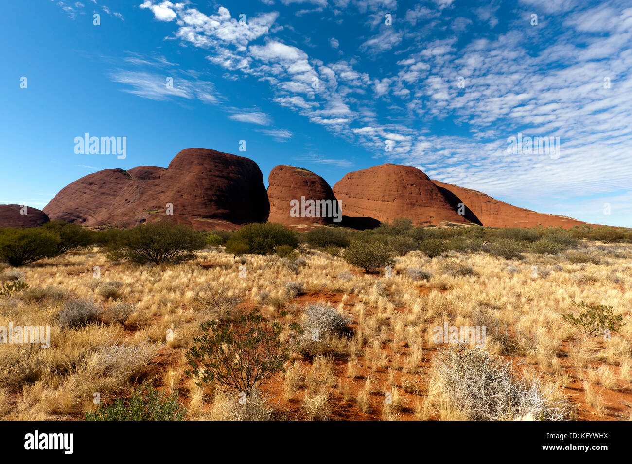 Wide-Angle view of Kata Tjuṯa, a group of large, domed rock formations ...