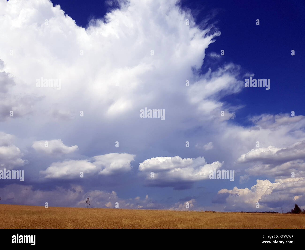 Stratus Nimbus Clouds