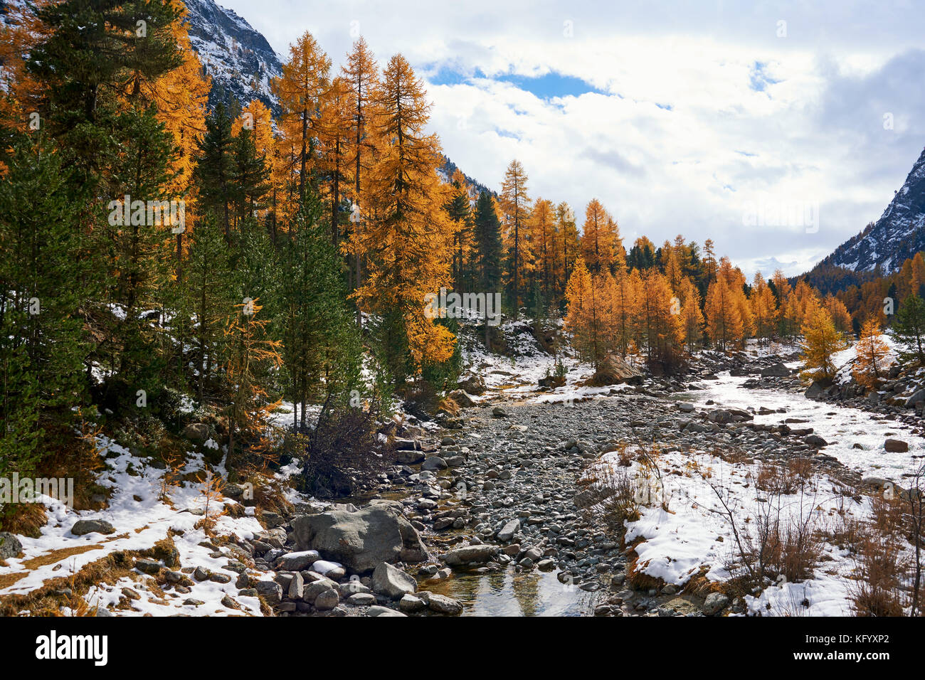 Autumn landscape in the Swiss Alps in Pontresina near Saint Moritz with ...