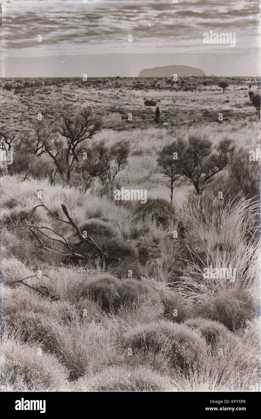 in australia the concept of wilderness environment in the landscape ...