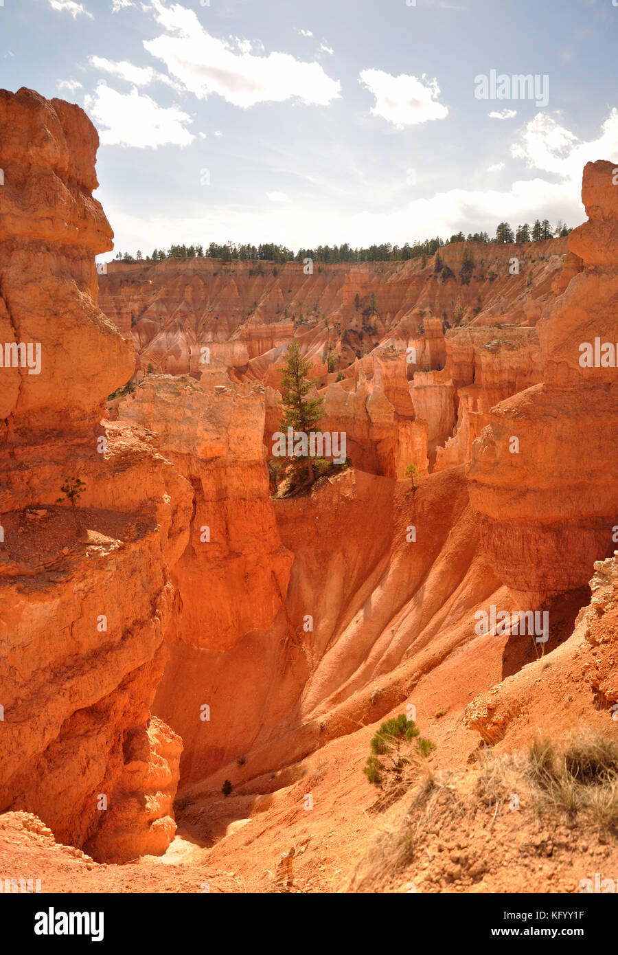 Orange cliff hi-res stock photography and images - Alamy