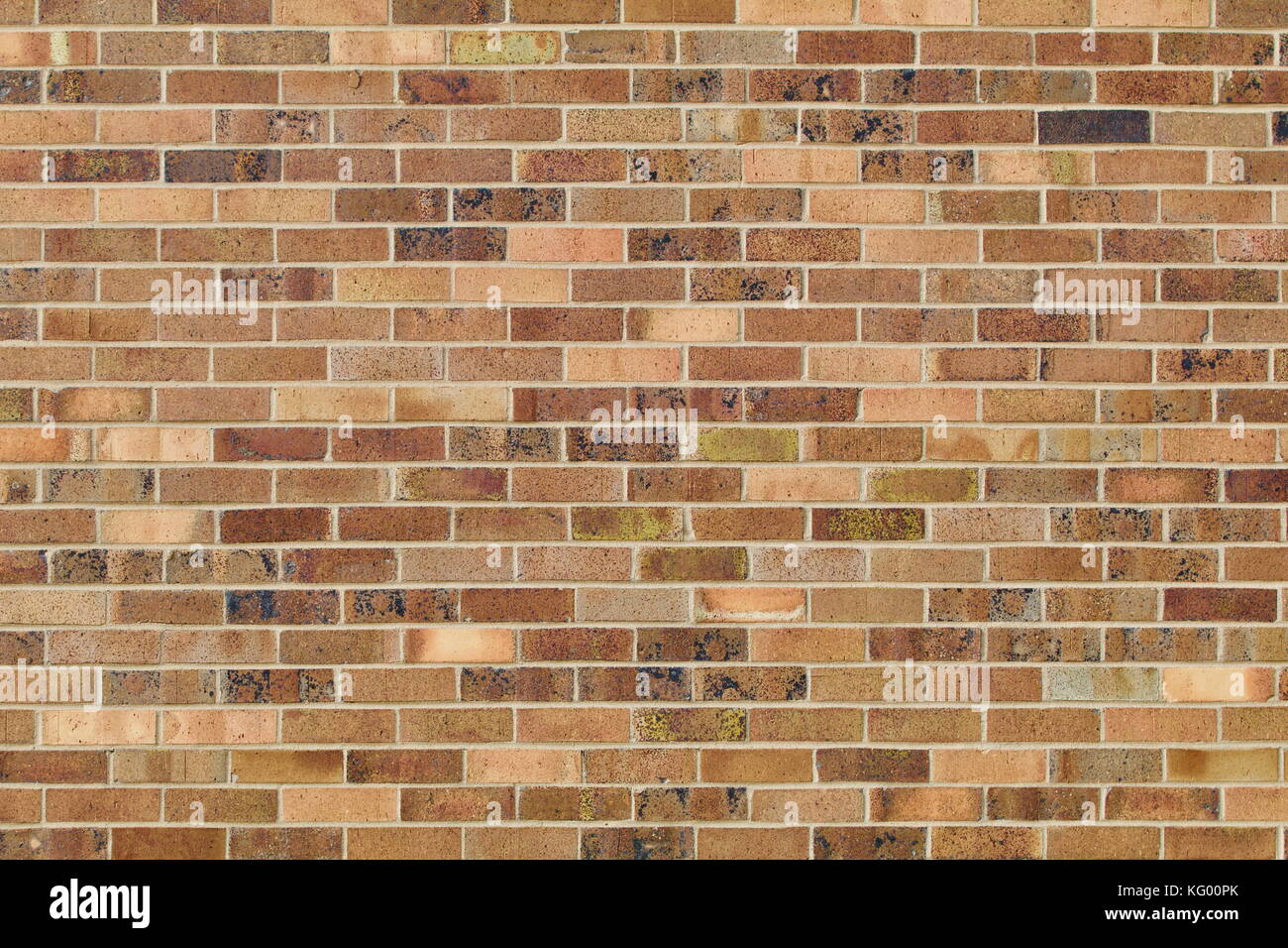 Tan brick wall texture hi-res stock photography and images - Alamy